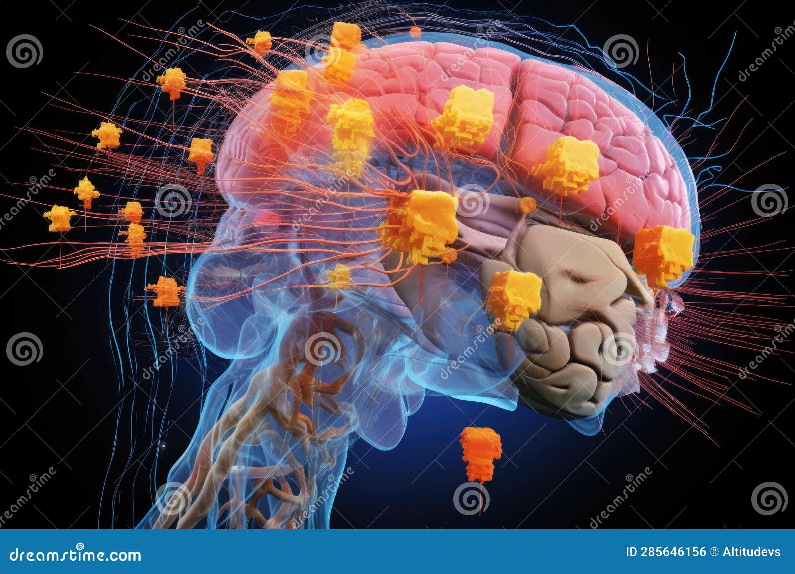 Illustration of Brain with Highlighted Neuromodulation Areas Stock ...
