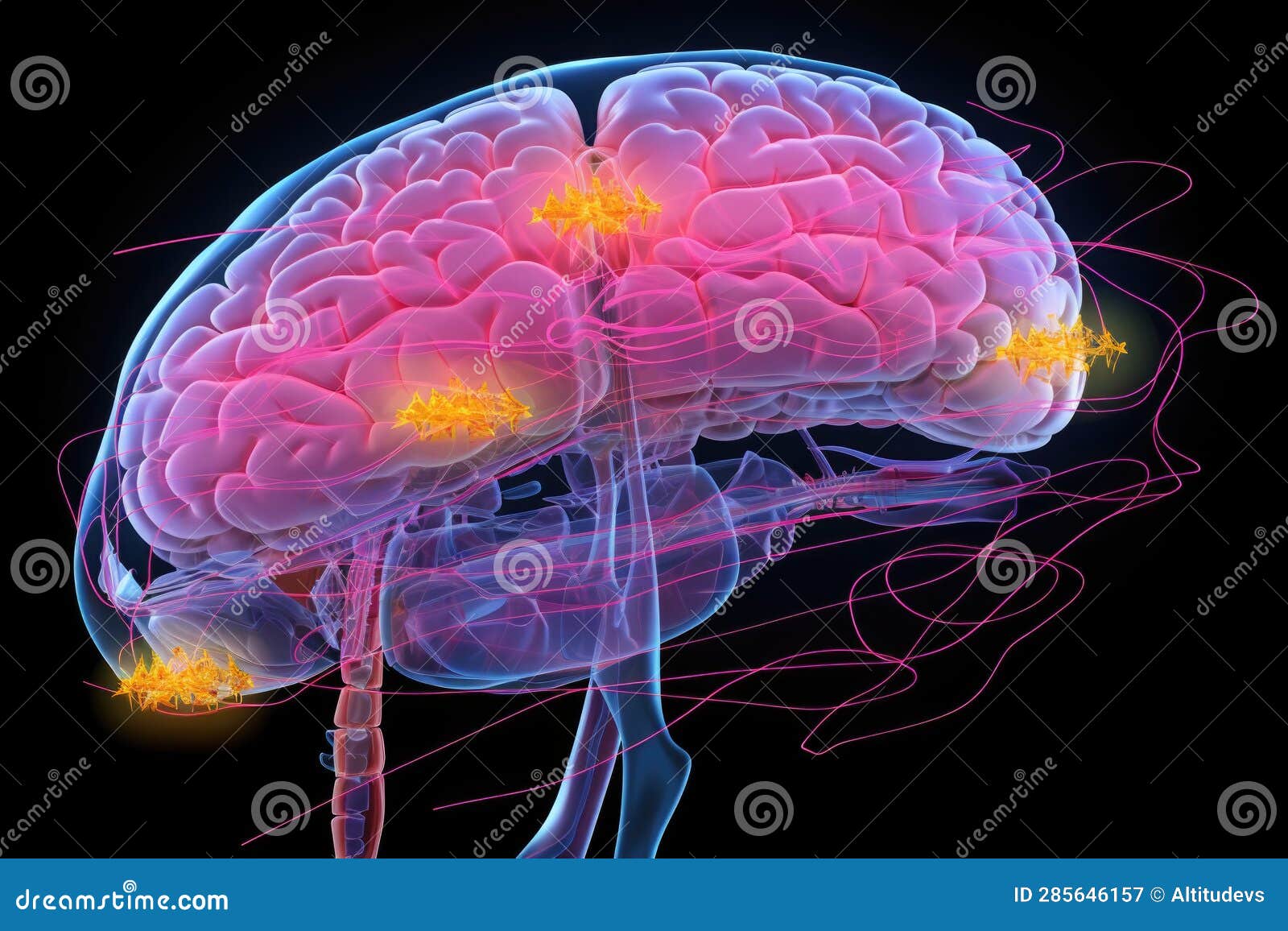 Illustration of Brain with Highlighted Neuromodulation Areas Stock ...
