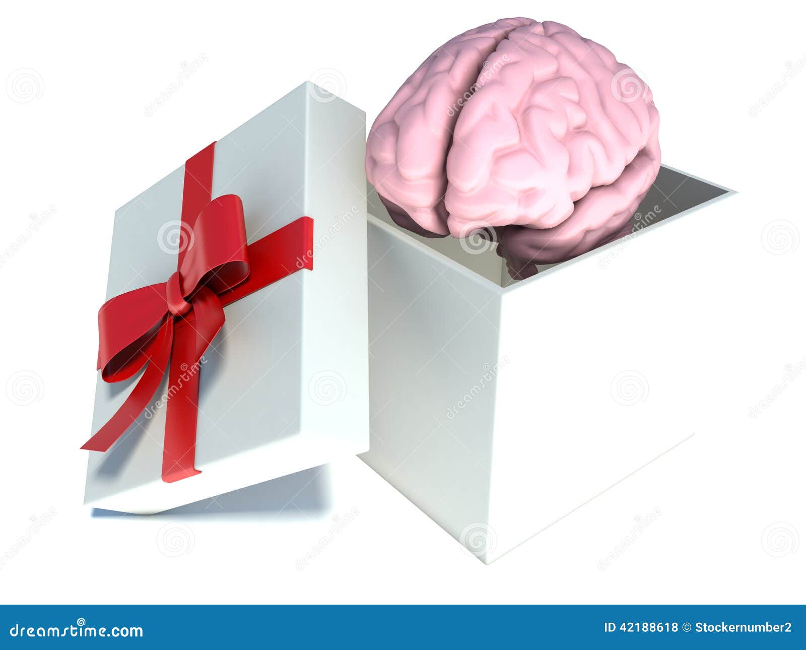 Illustration of Brain Present in White Gift Box with Red Ribbon Stock ...