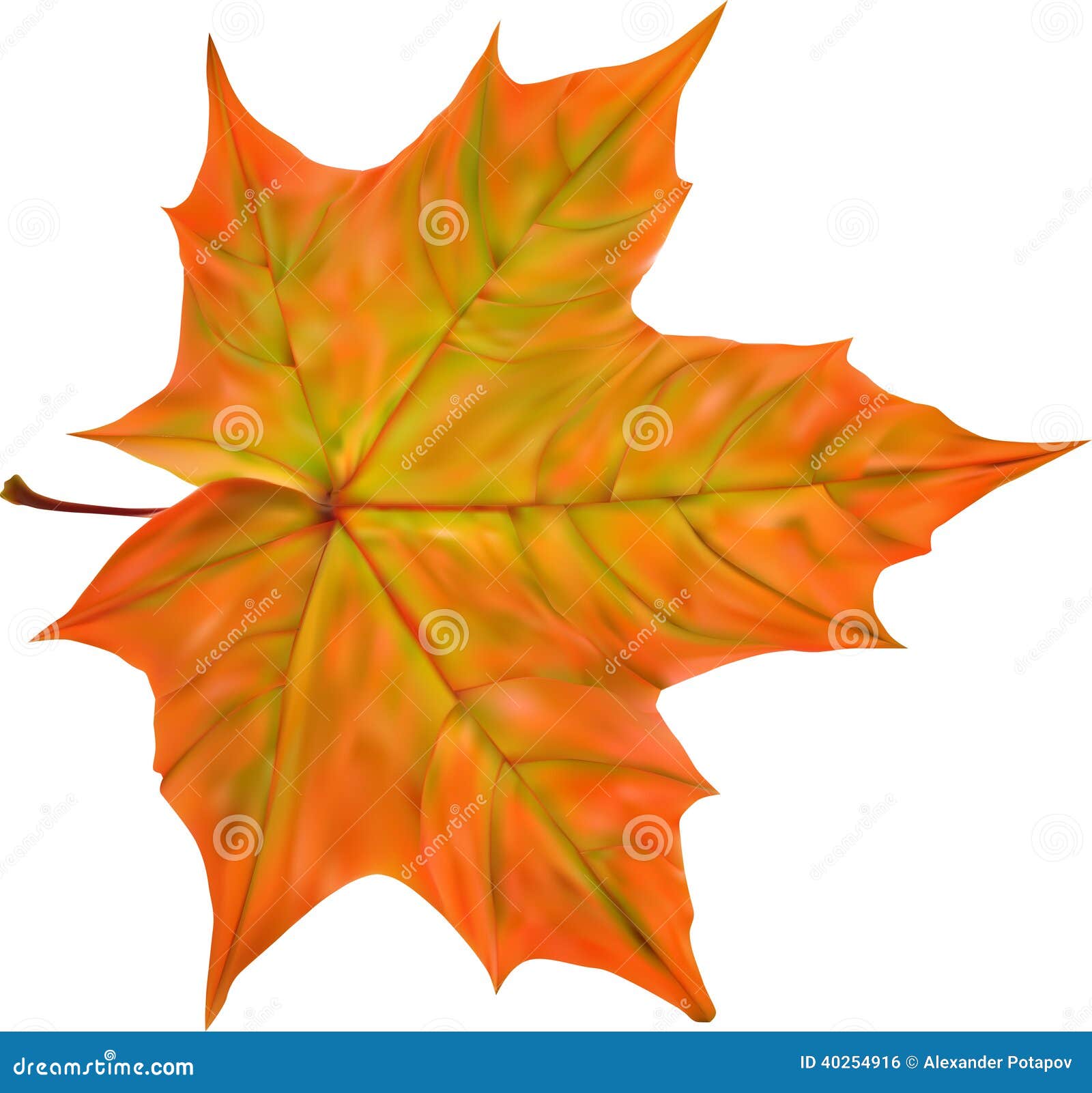 Illustration with Bright Autumn Maple Leaf Stock Vector - Illustration ...