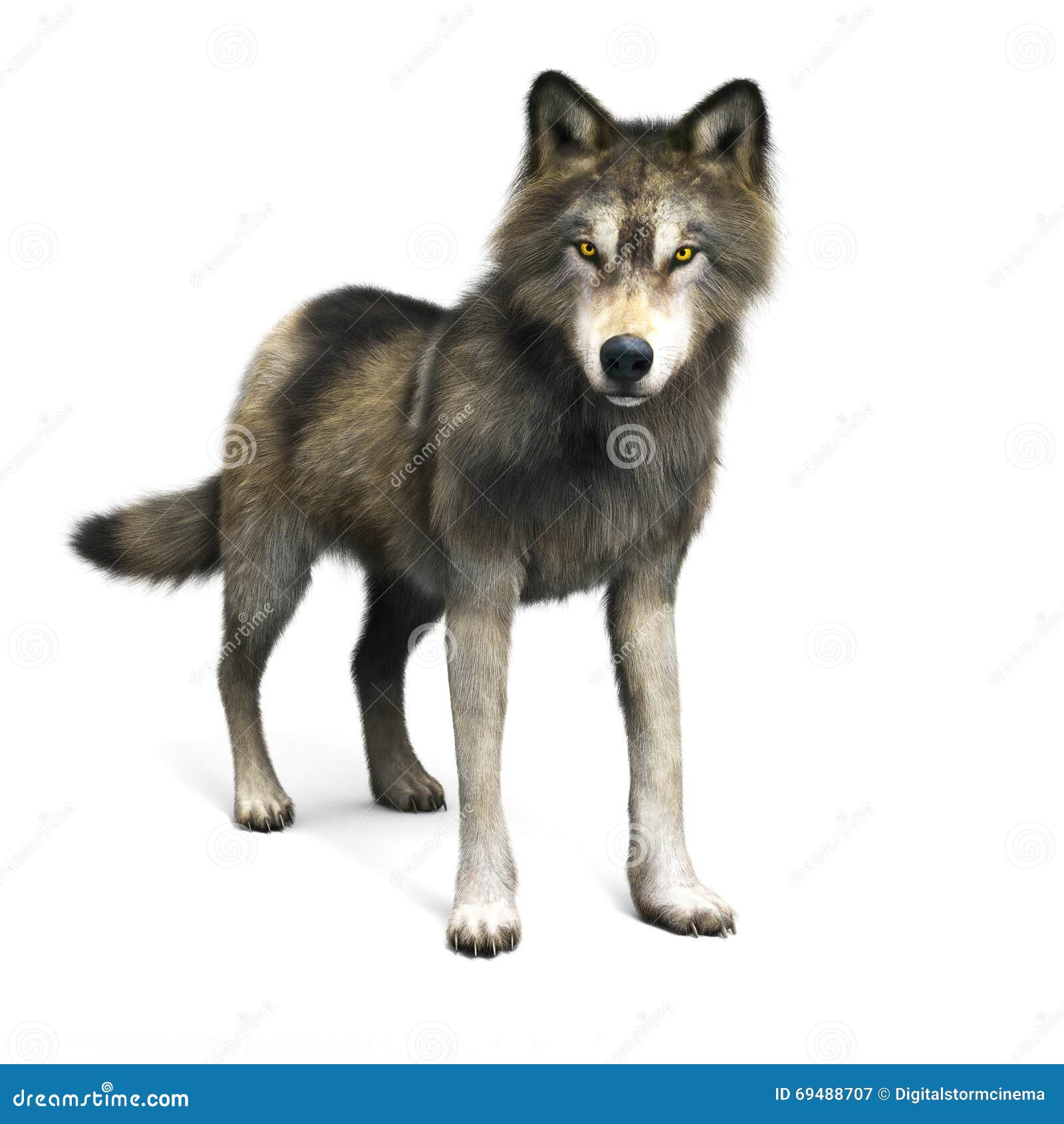 Wolfish Cartoons, Illustrations & Vector Stock Images - 77 Pictures to ...