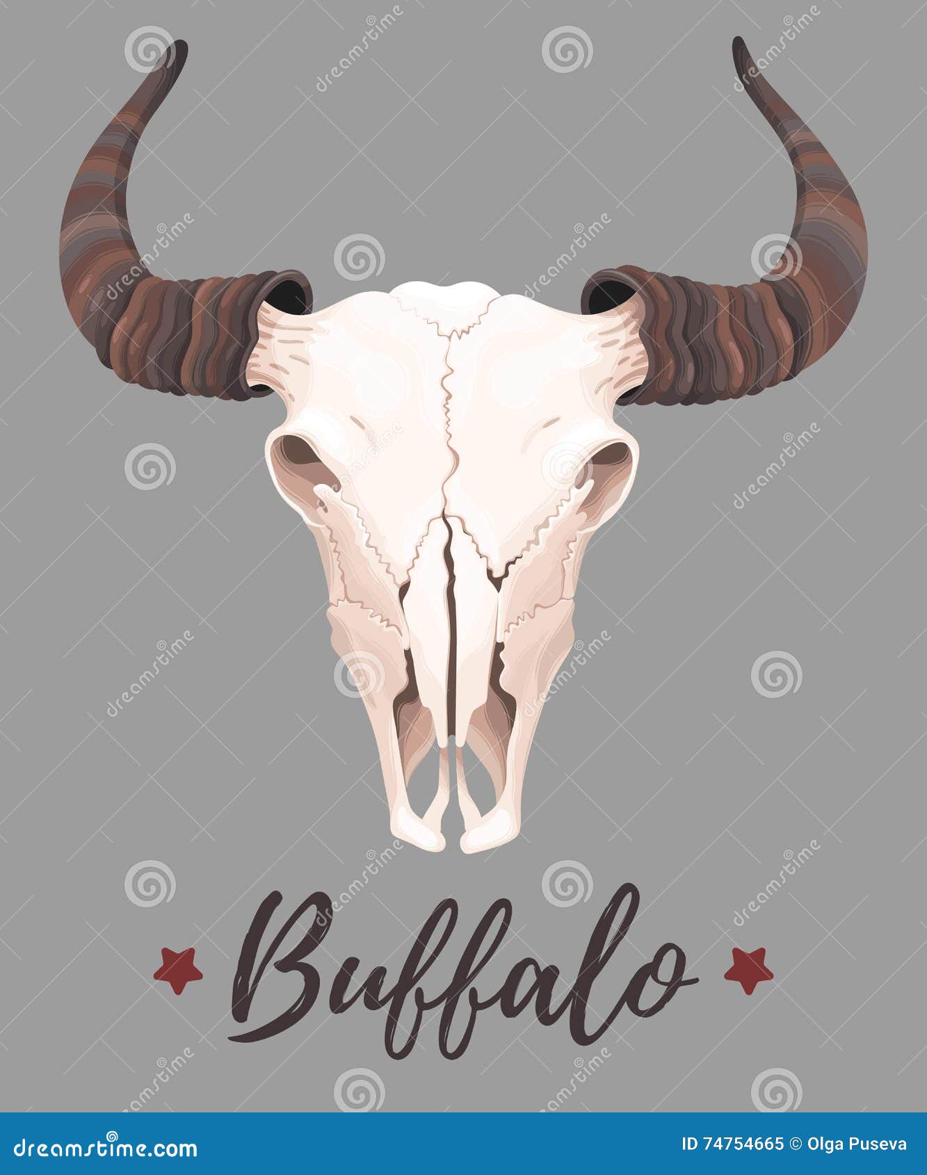 Illustration of Buffalo Skull Stock Vector - Illustration of design ...