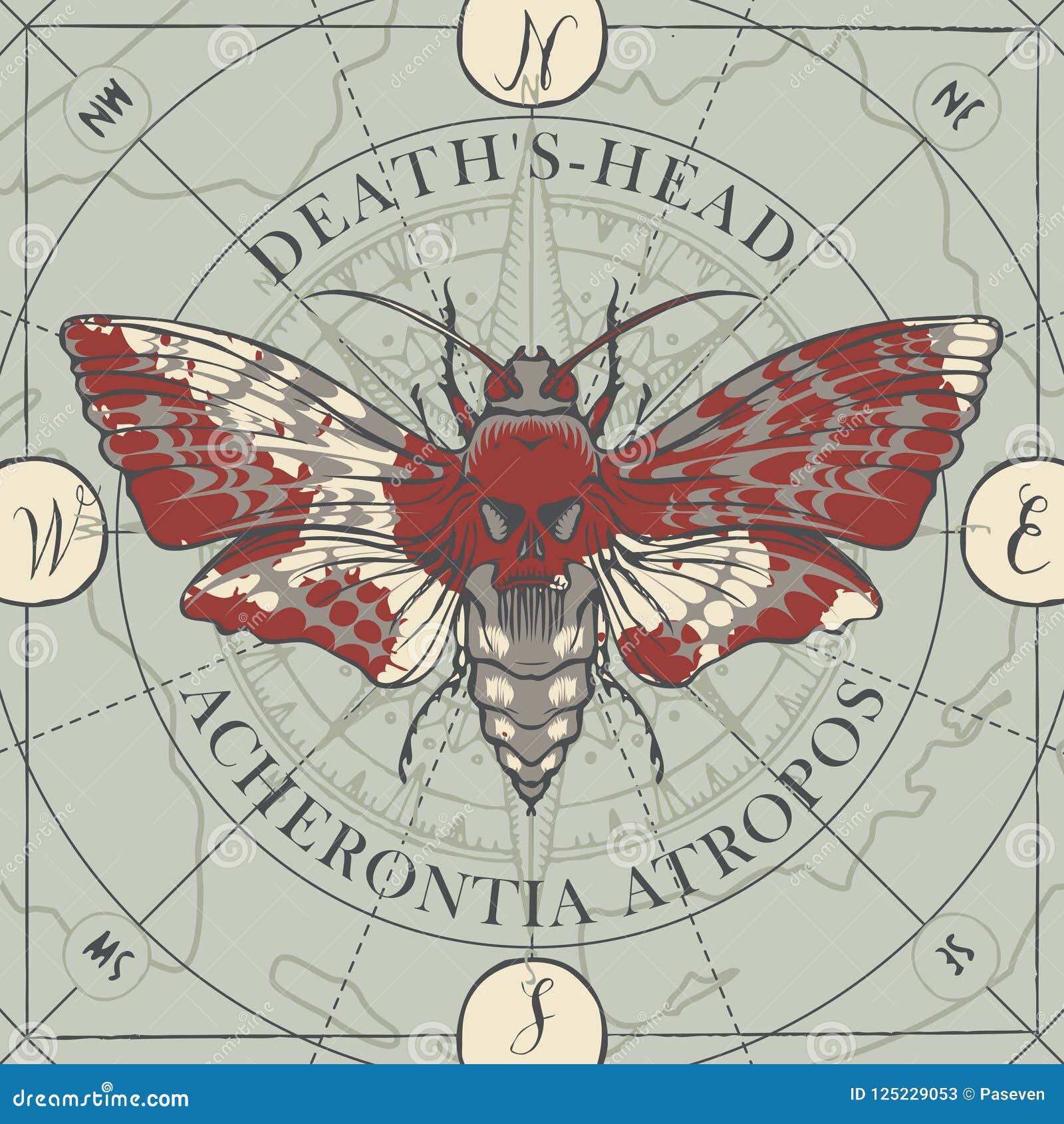 Mole Acherontia Atropos With Old Magic Symbols Cartoon Vector ...