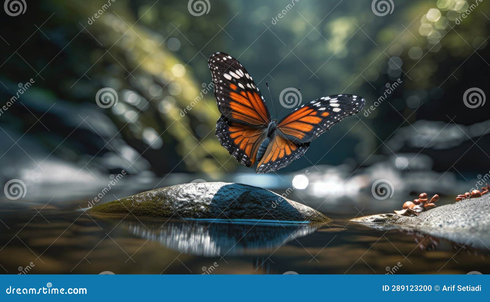 Illustration of a Butterfly Splashed in River Water Stock Illustration ...