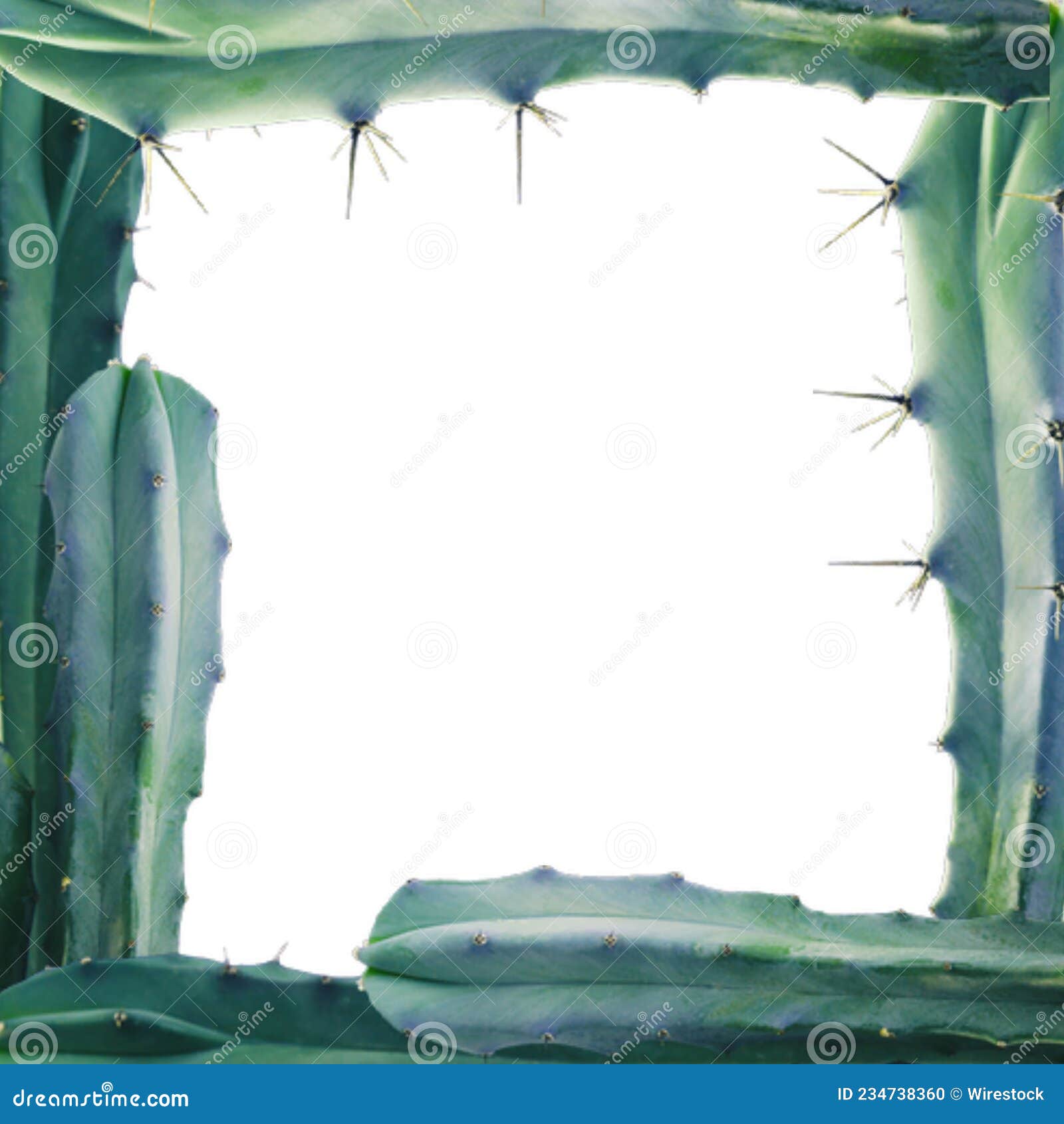 Illustration of Cactus Border Frame with Space for Text in the Middle ...