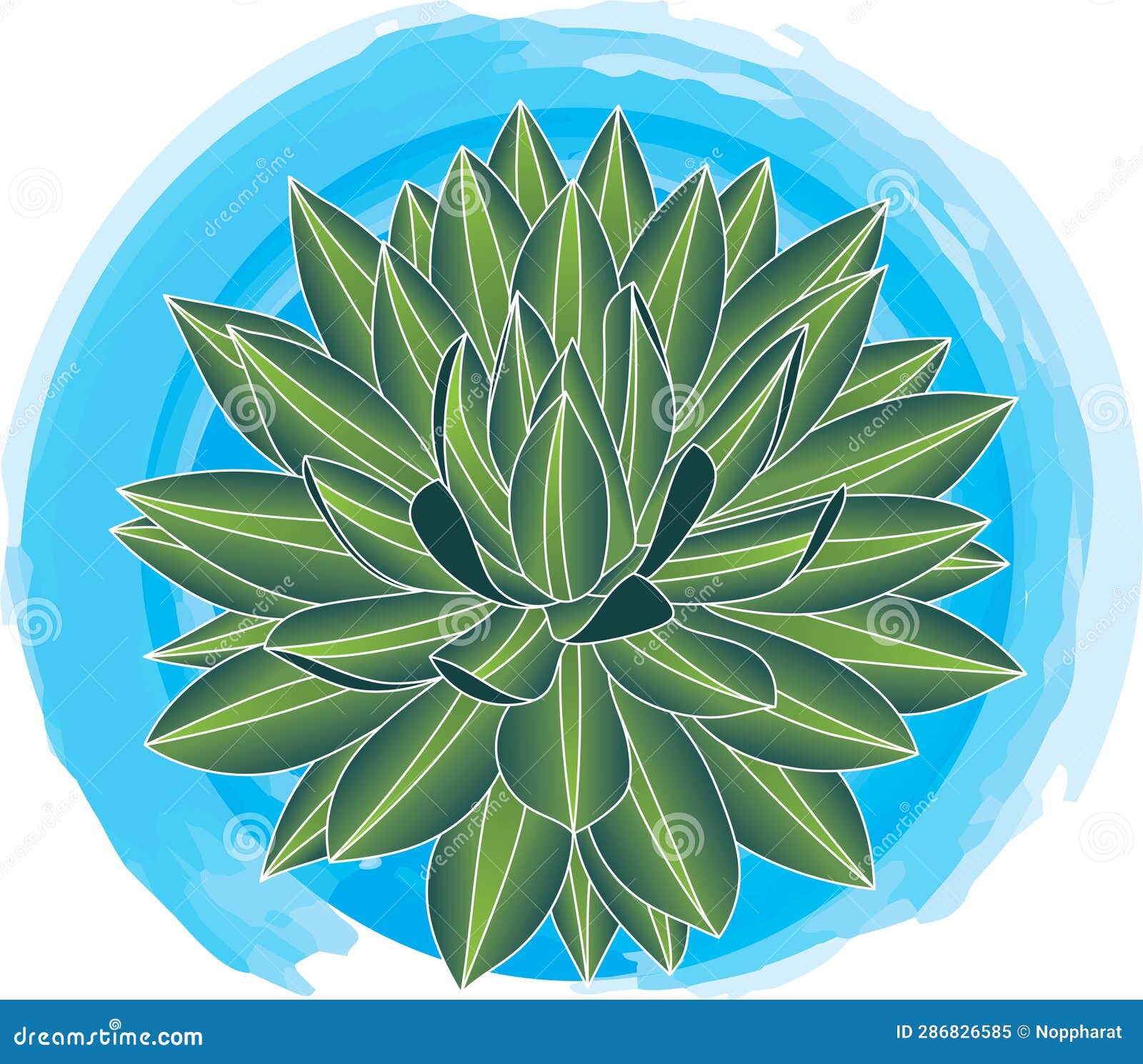 Illustration of Cactus Plant on Blue Circle Background Stock ...