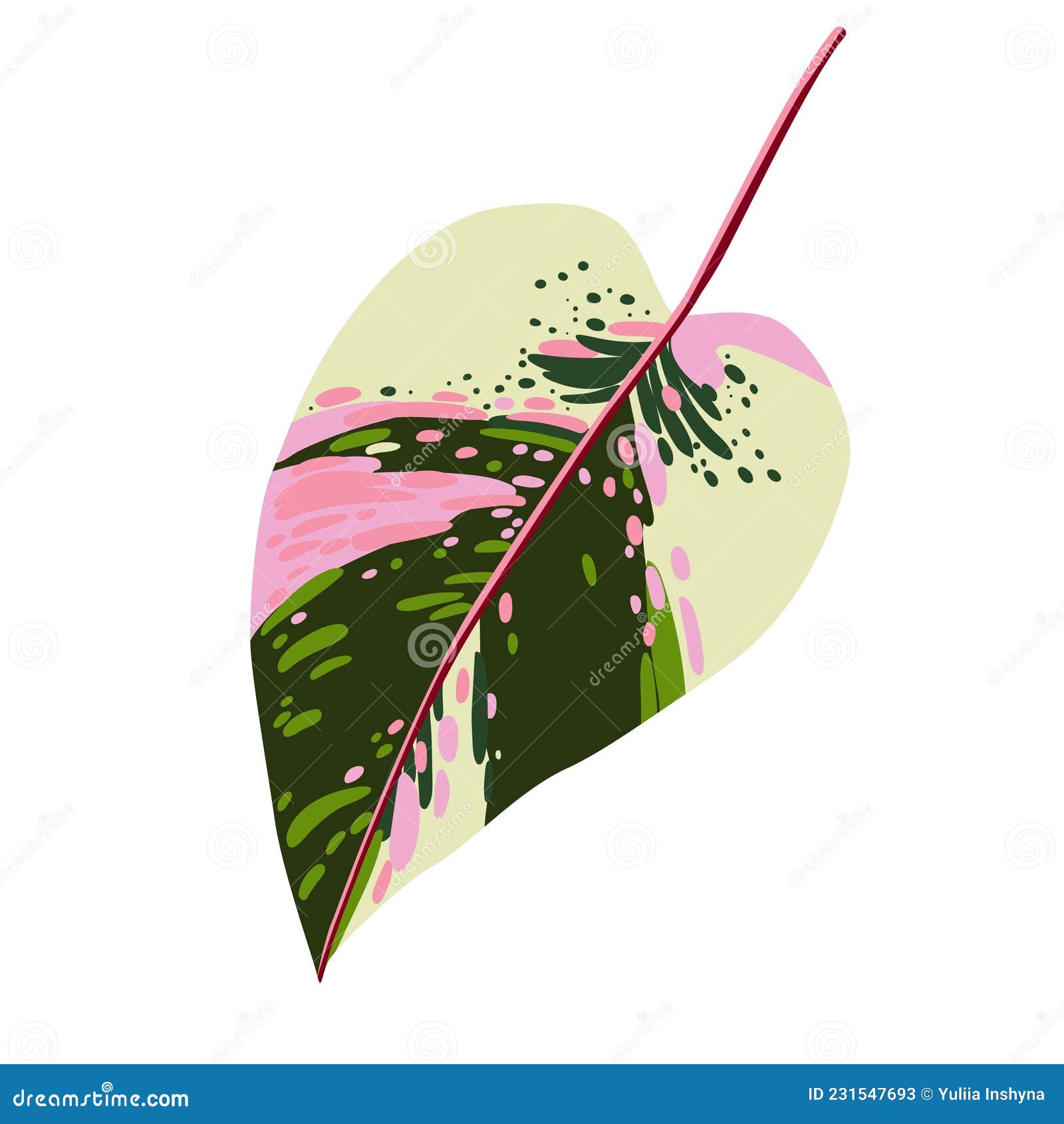 3d Illustration Of Caladium Aaron Isolated On White Background Royalty ...