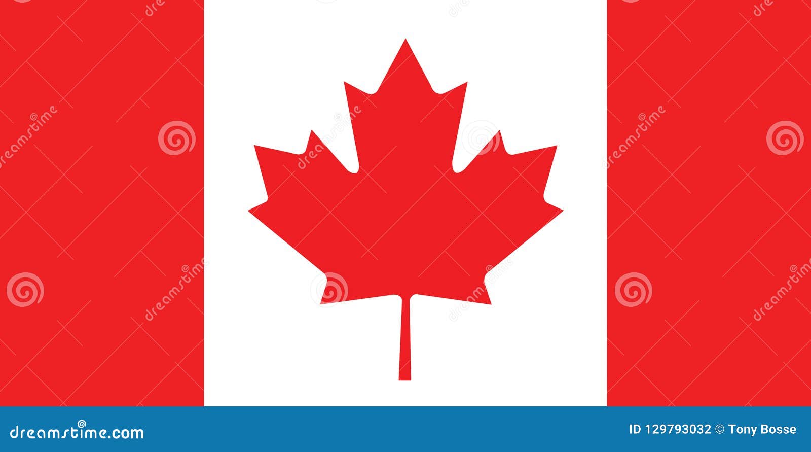 Canada Map And Flag - Highly Detailed Vector Infographic Illustration ...