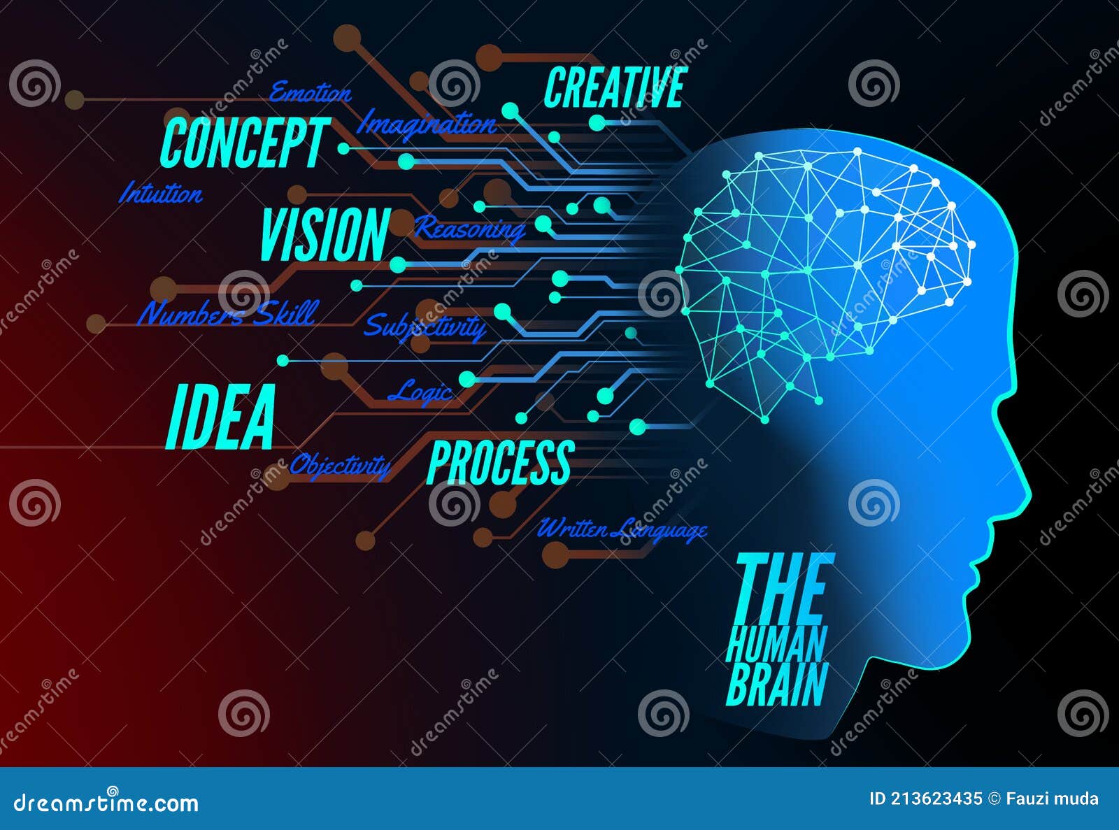 Illustration of the Capabilities of the Human Brain and Its Functions ...