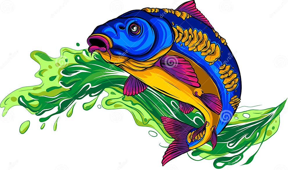 Vector Illustration of Carp with Splashing Water Stock Vector ...