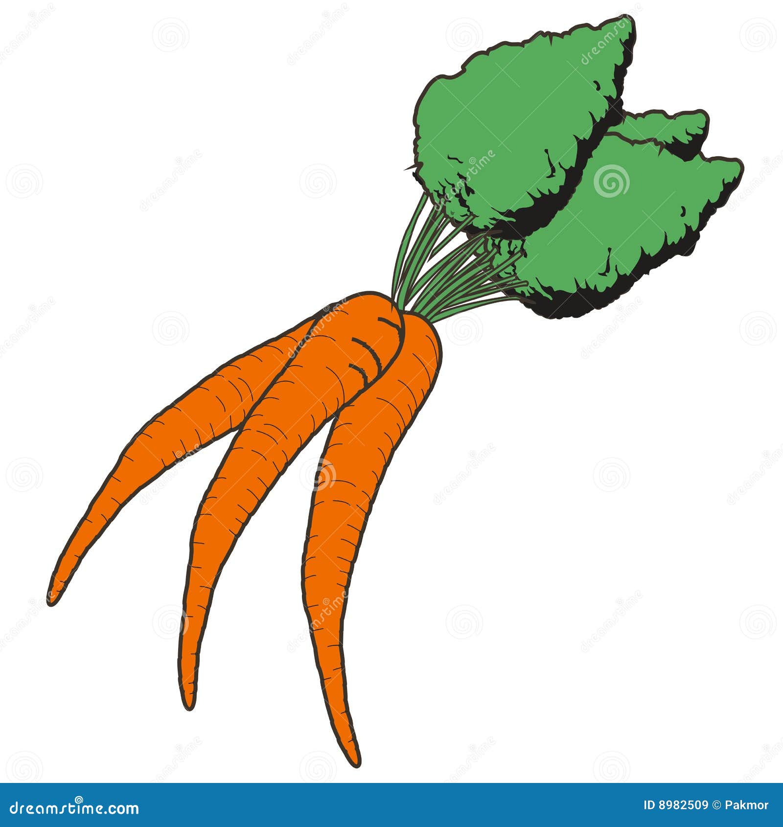 Illustration of a carrot stock illustration. Illustration of cooking ...