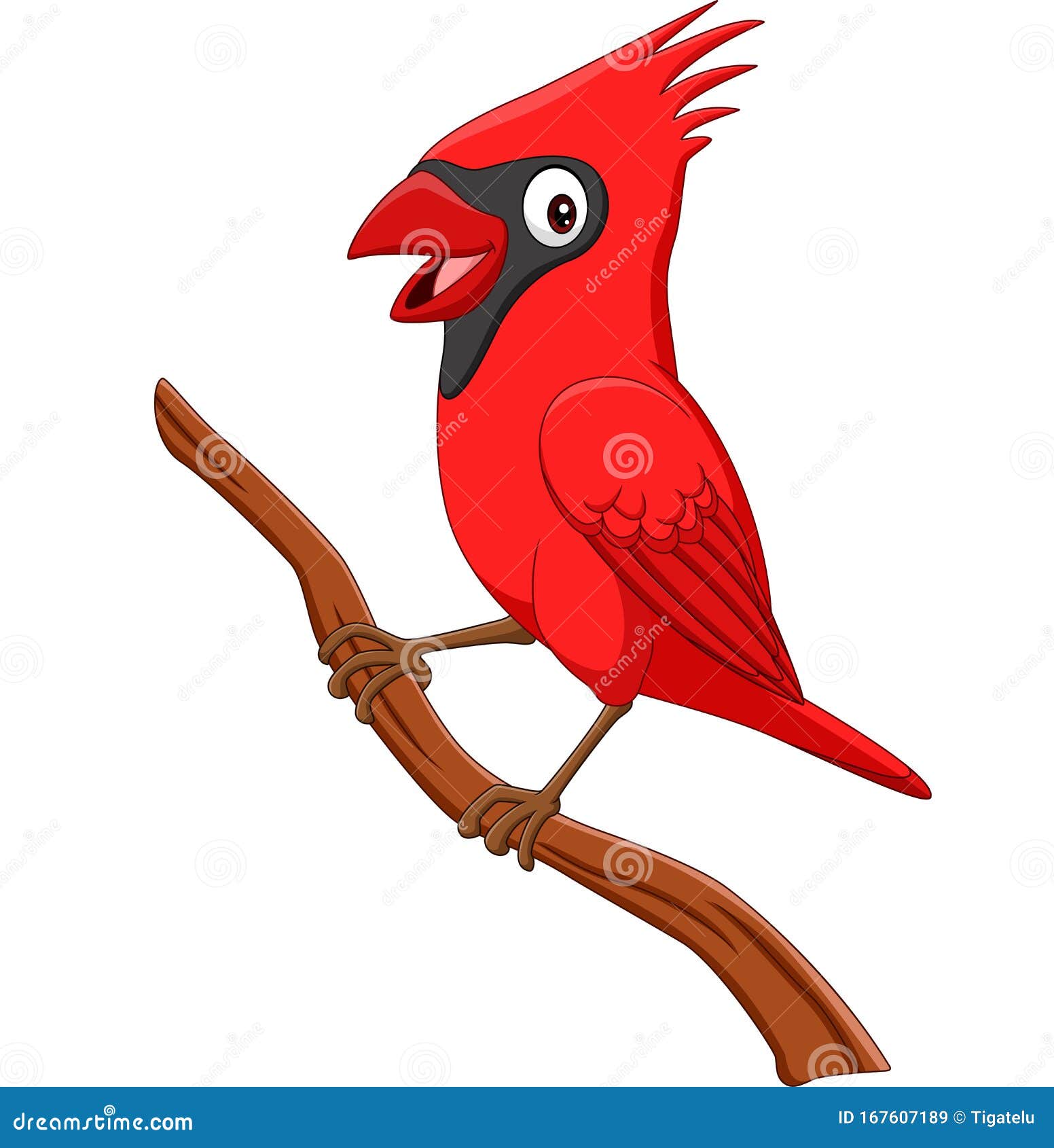 Cartoon Cardinal Bird on Tree Branch Stock Vector - Illustration of ...