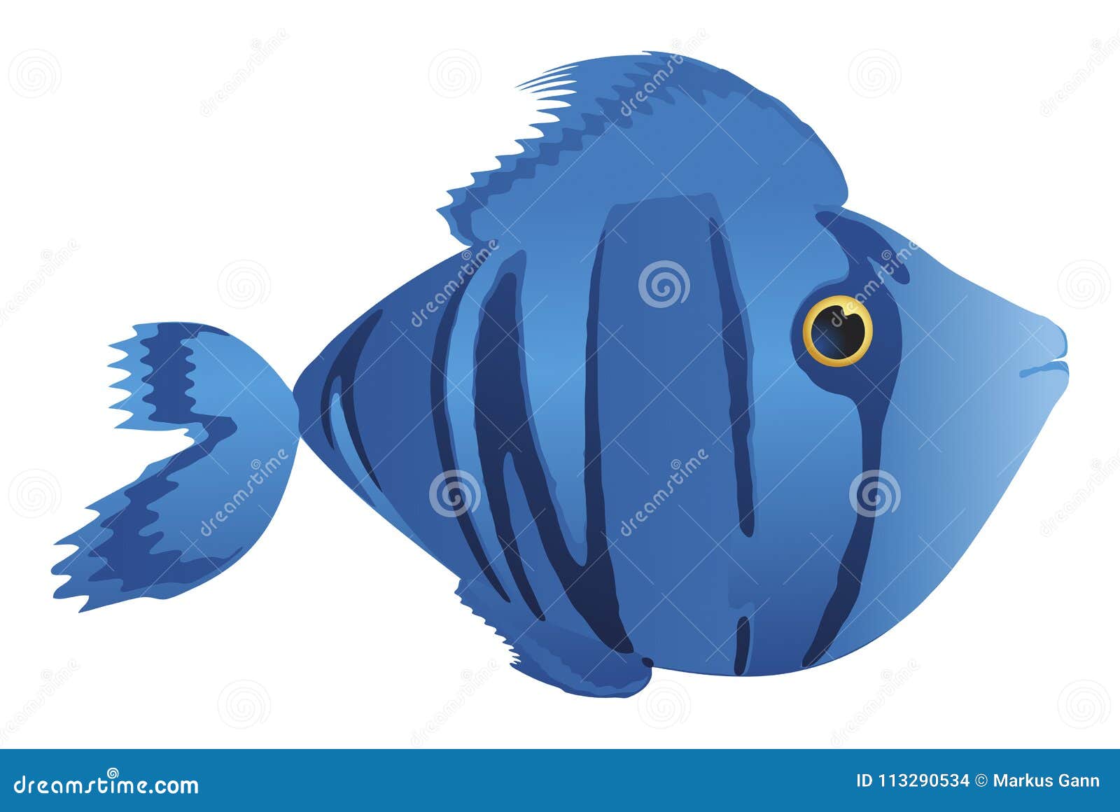 Blue comic fish stock illustration. Illustration of wildlife - 113290534