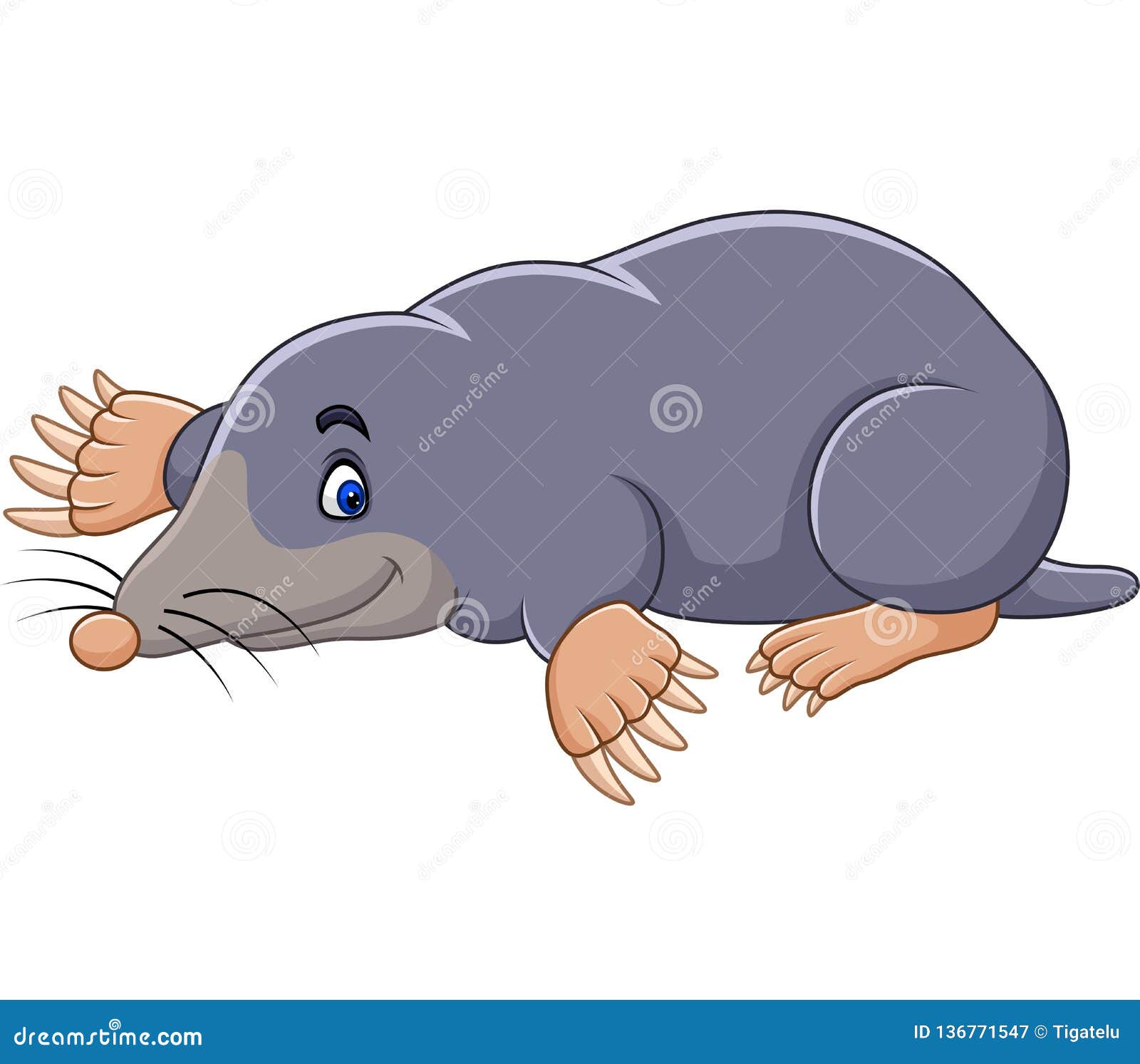 Cartoon cute mole stock vector. Illustration of look - 136771547