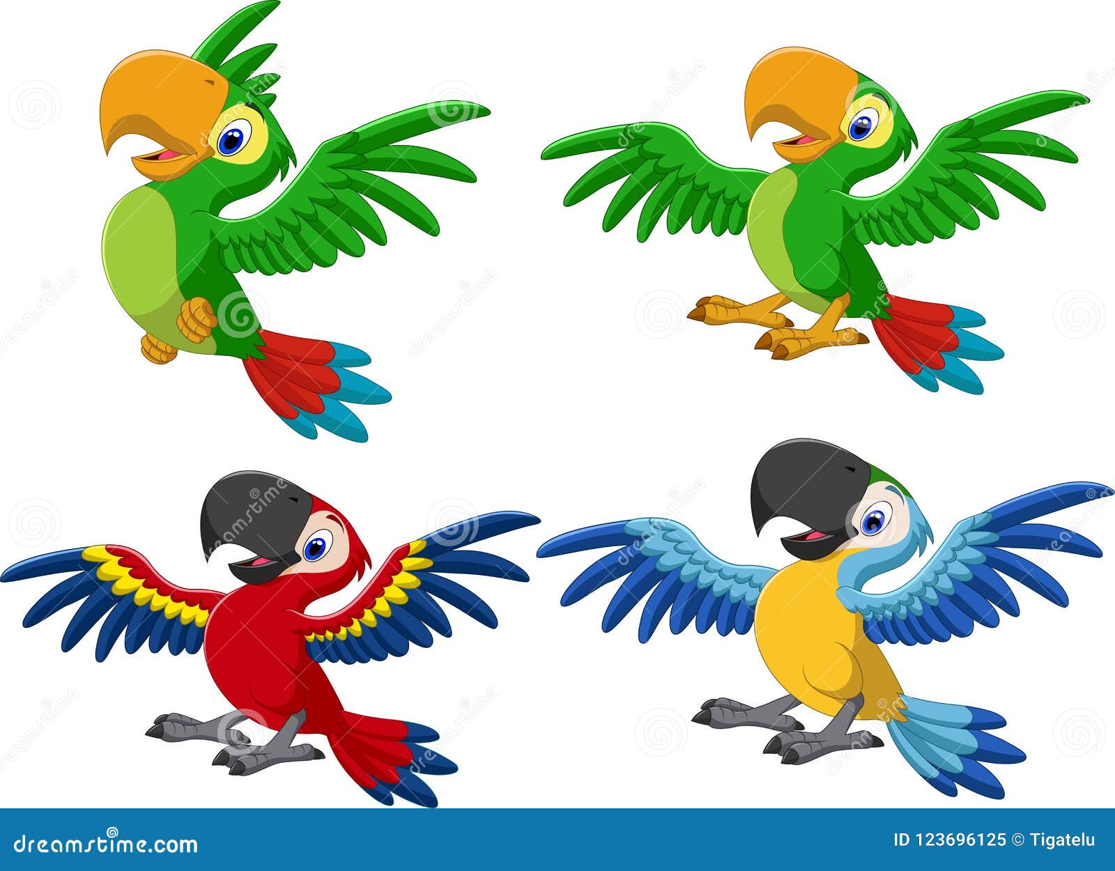 Cartoon Macaw Collection Set Stock Vector - Illustration of isolated ...