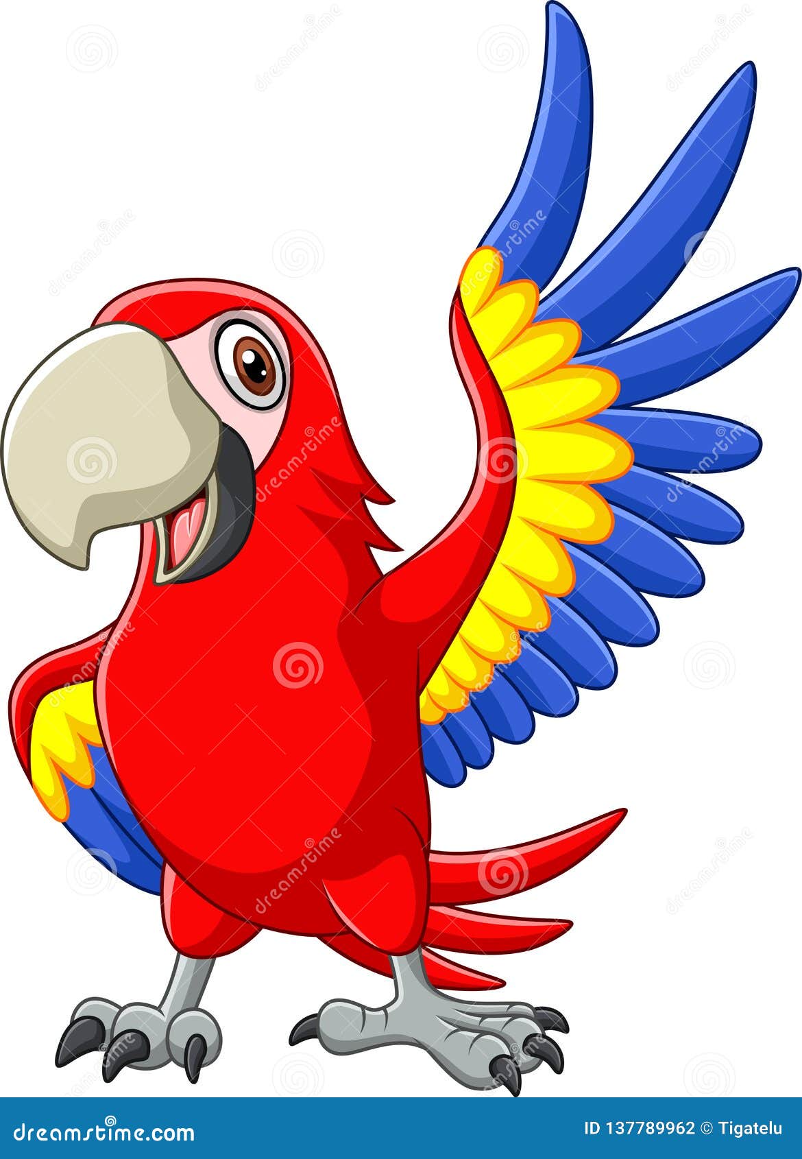Cartoon Red Macaw In Different Poses. Vector Illustration ...