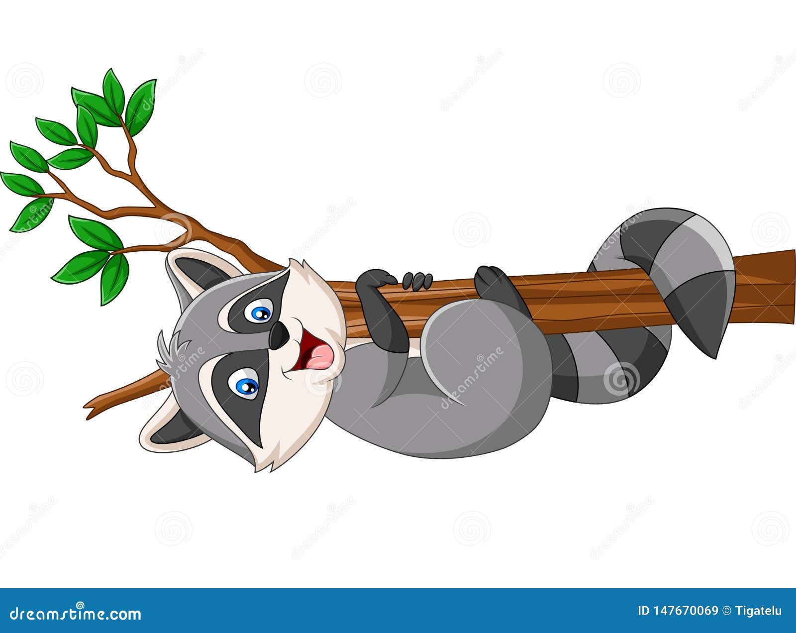 Cartoon Raccoon On The Tree Branch Vector Illustration | CartoonDealer ...