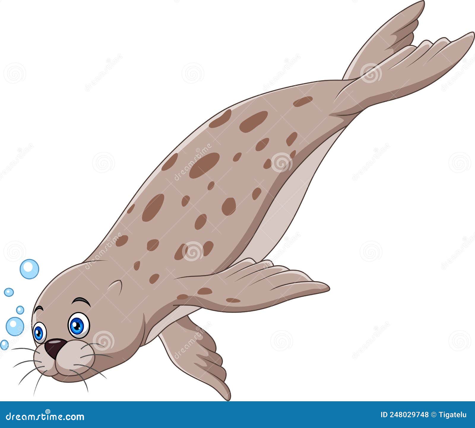 Cartoon Seal Swimming On White Background Stock Vector Illustration