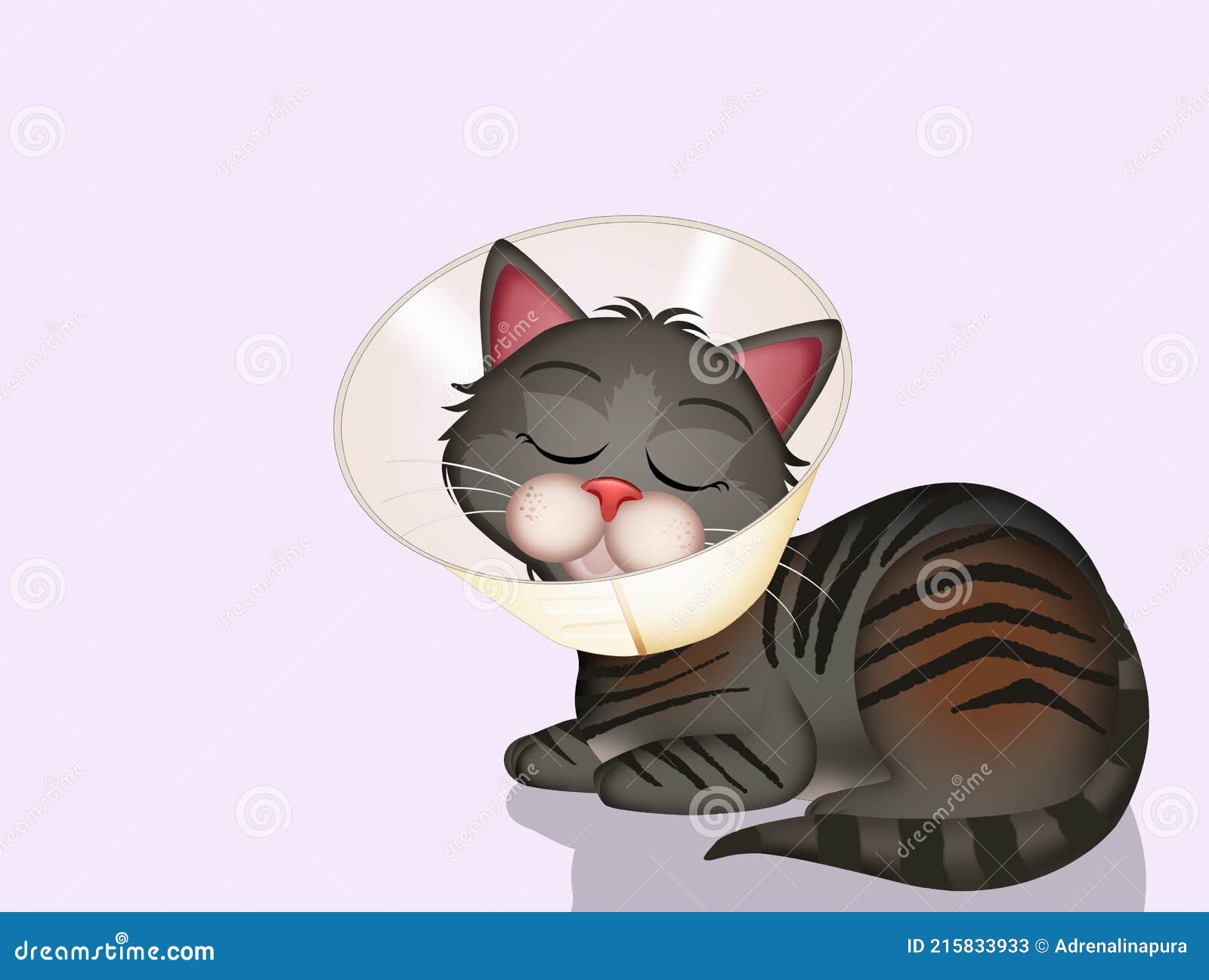 Cat with funnel collar stock illustration. Illustration of injury ...