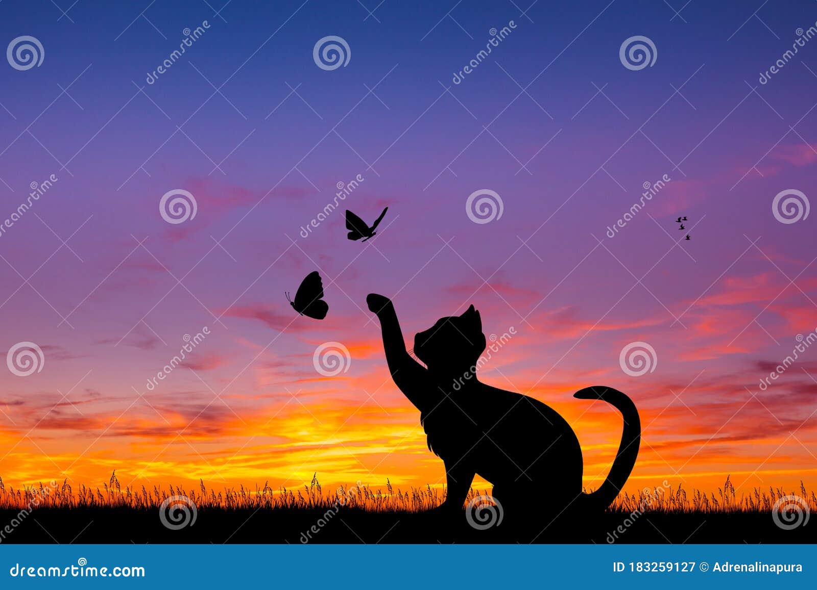Illustration of Cat at Sunset Stock Illustration - Illustration of ...