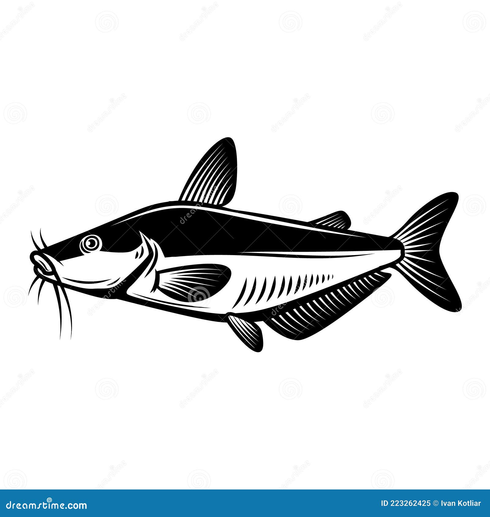 Illustration of Catfish in Engraving Style. Design Element for Logo ...