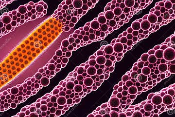 Illustration of a Changing Dna String, Virus Concept Art, Ai Generated ...