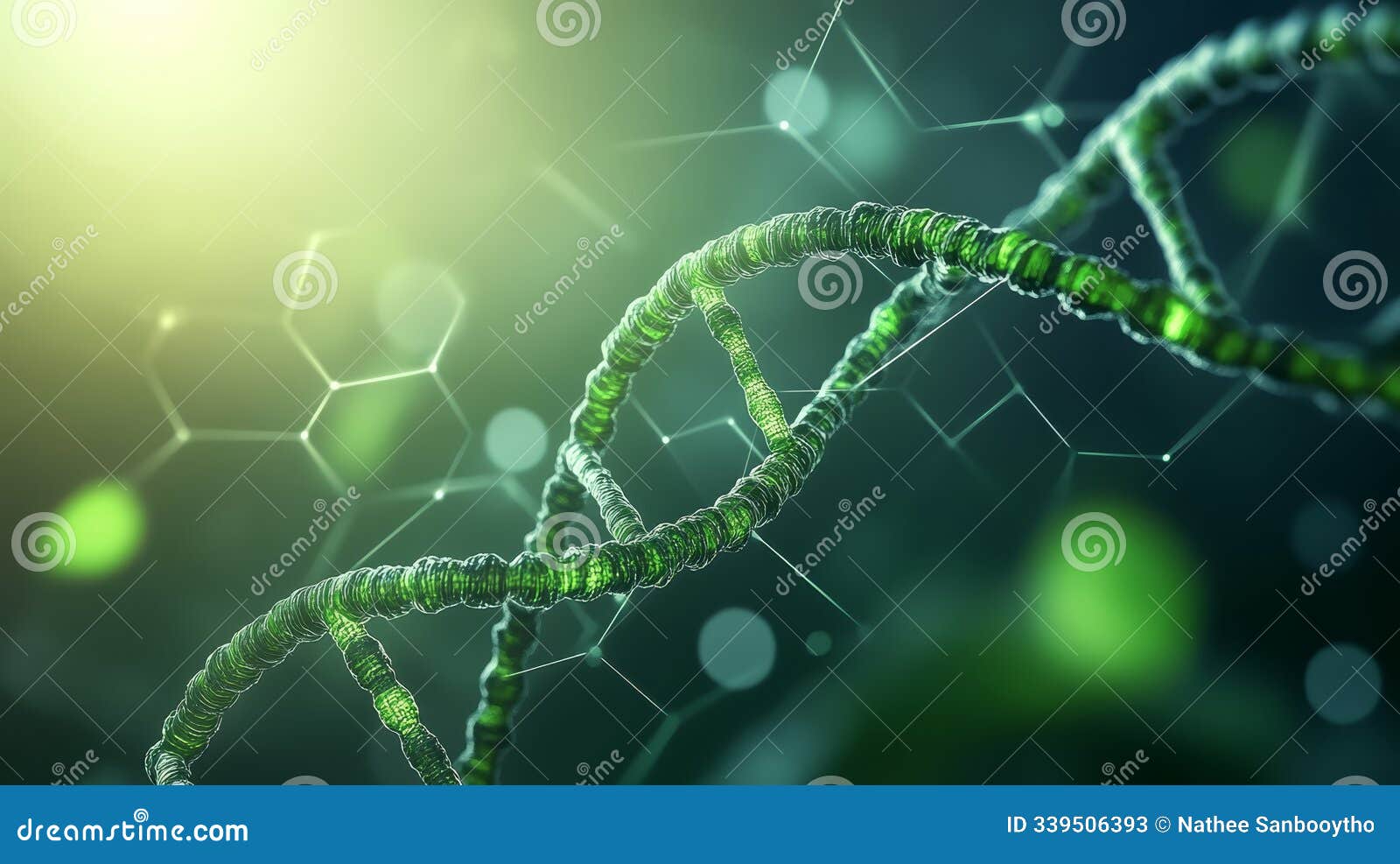 Illustration of a Chromosome, Exploring the Structure and Function of ...