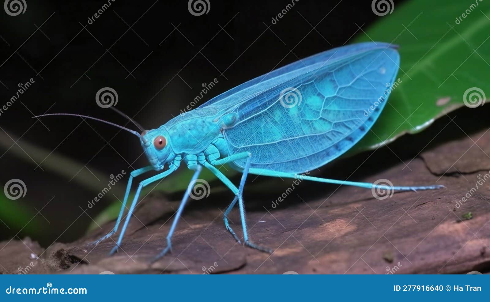 Close-up of a Blue Grasshopper on a Leaf Stock Illustration ...