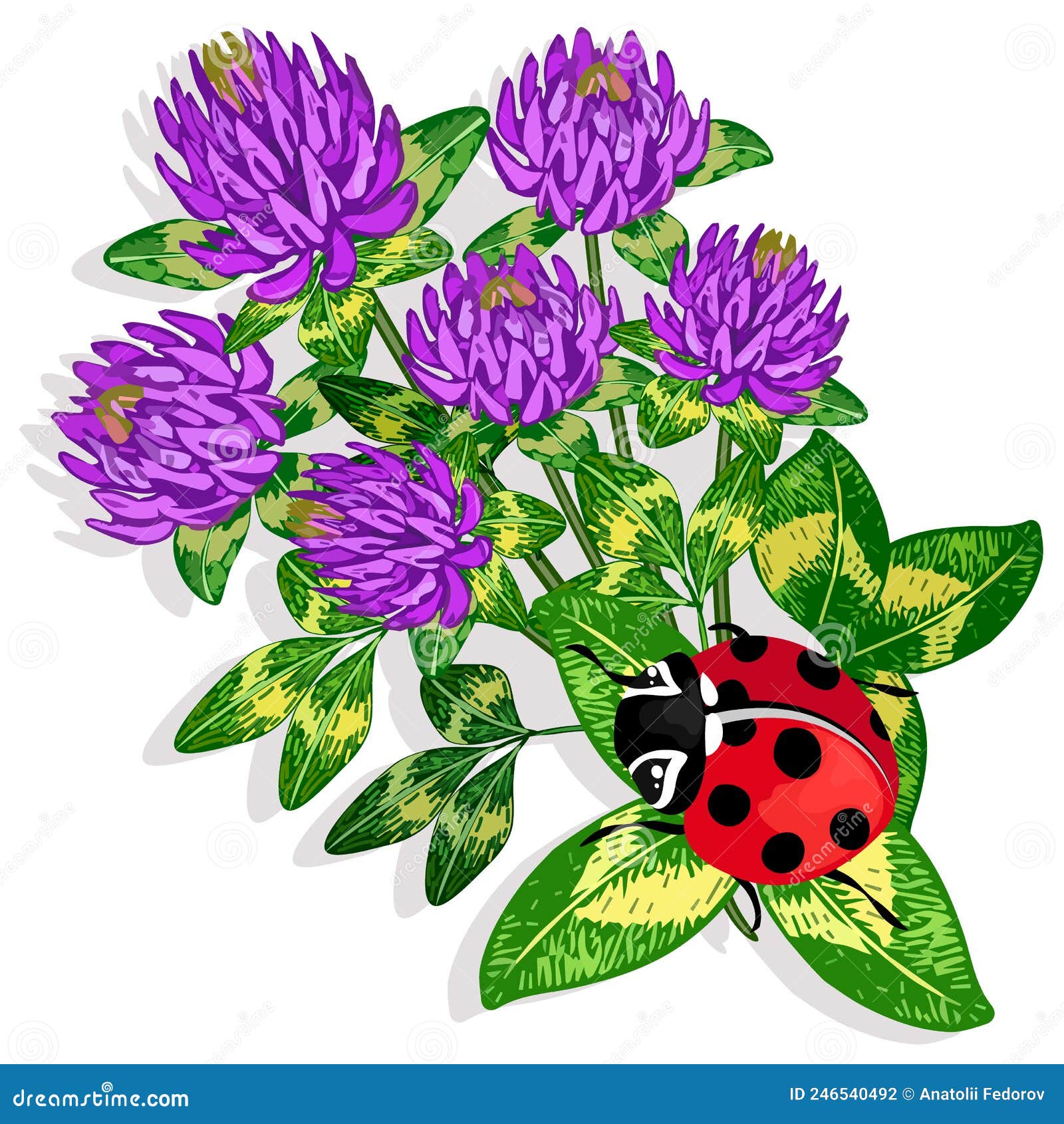 Illustration with Clover and Ladybug. Stock Vector - Illustration of ...