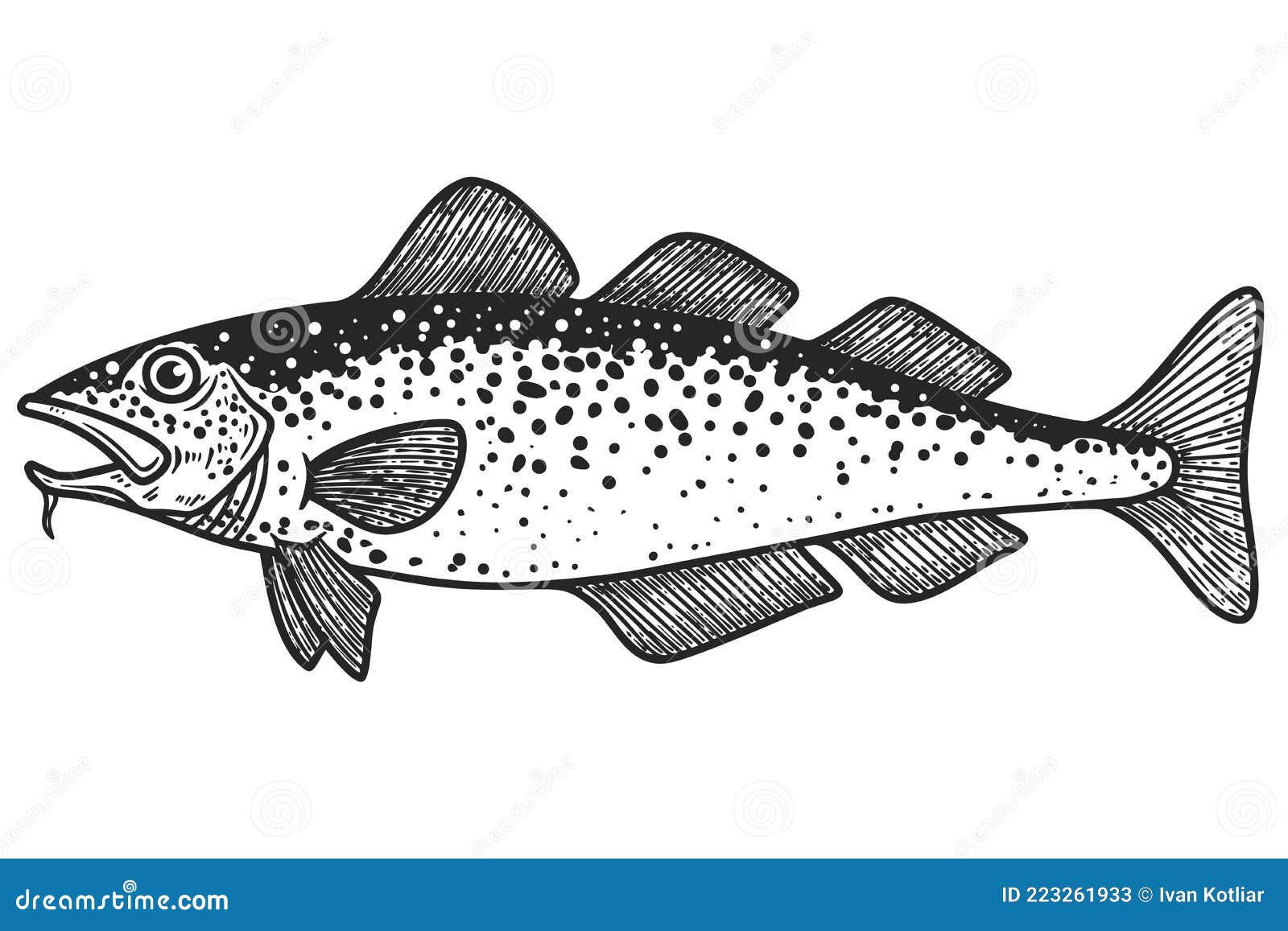 Illustration of Cod Fish in Engraving Style. Design Element for Logo ...