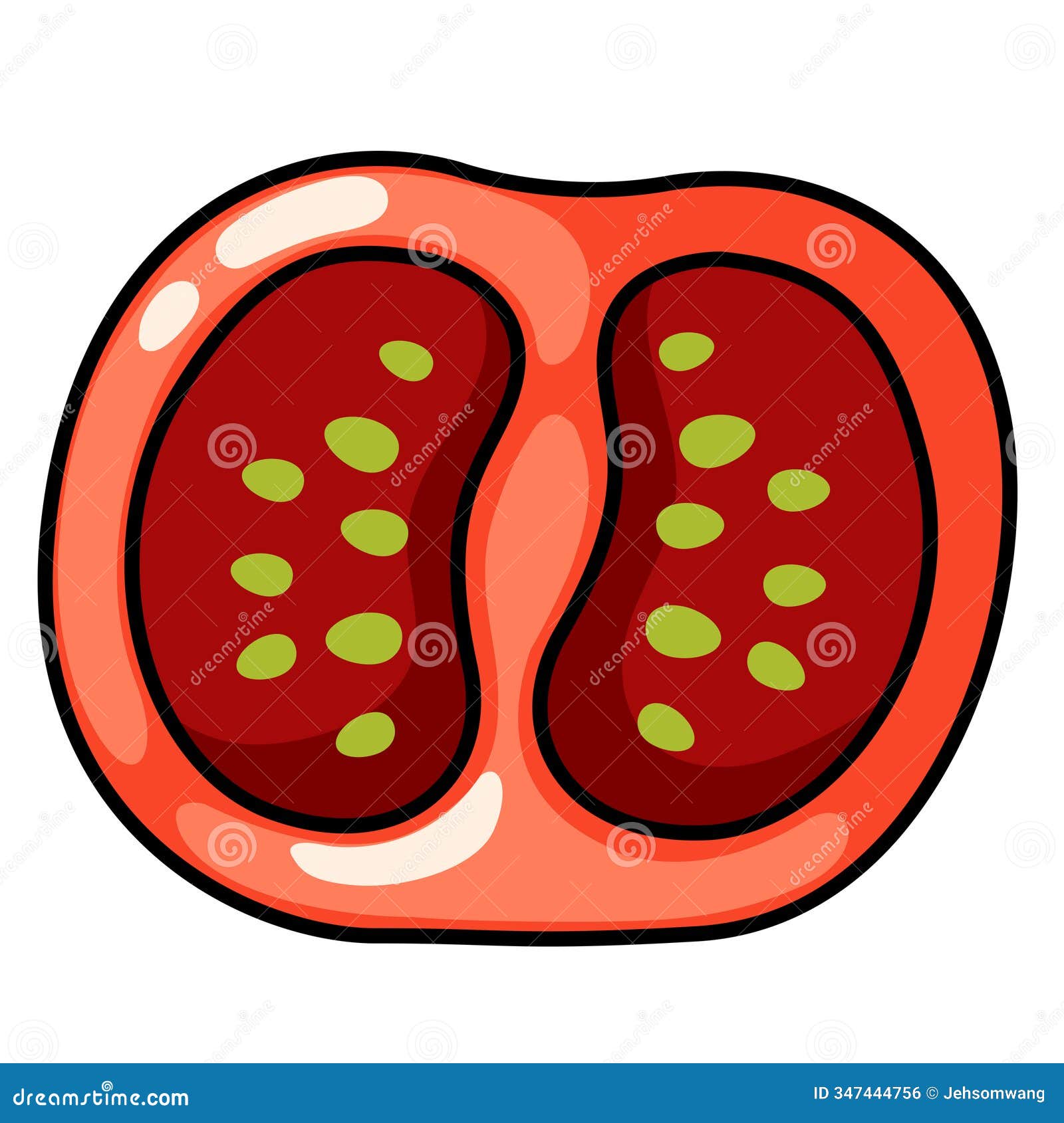 Tomato Outline Icon Cartoon Vector | CartoonDealer.com #123701347