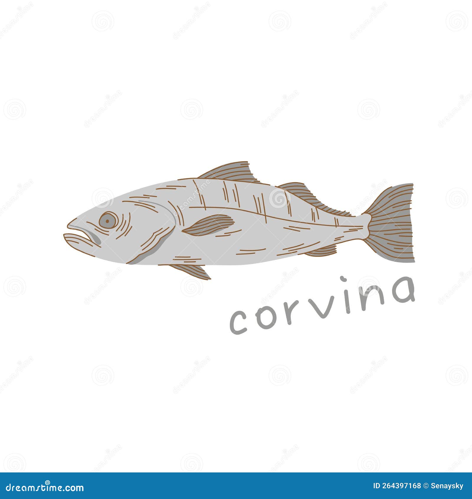 Illustration Of A Corvina In Flat Style Isolated On A White Background ...