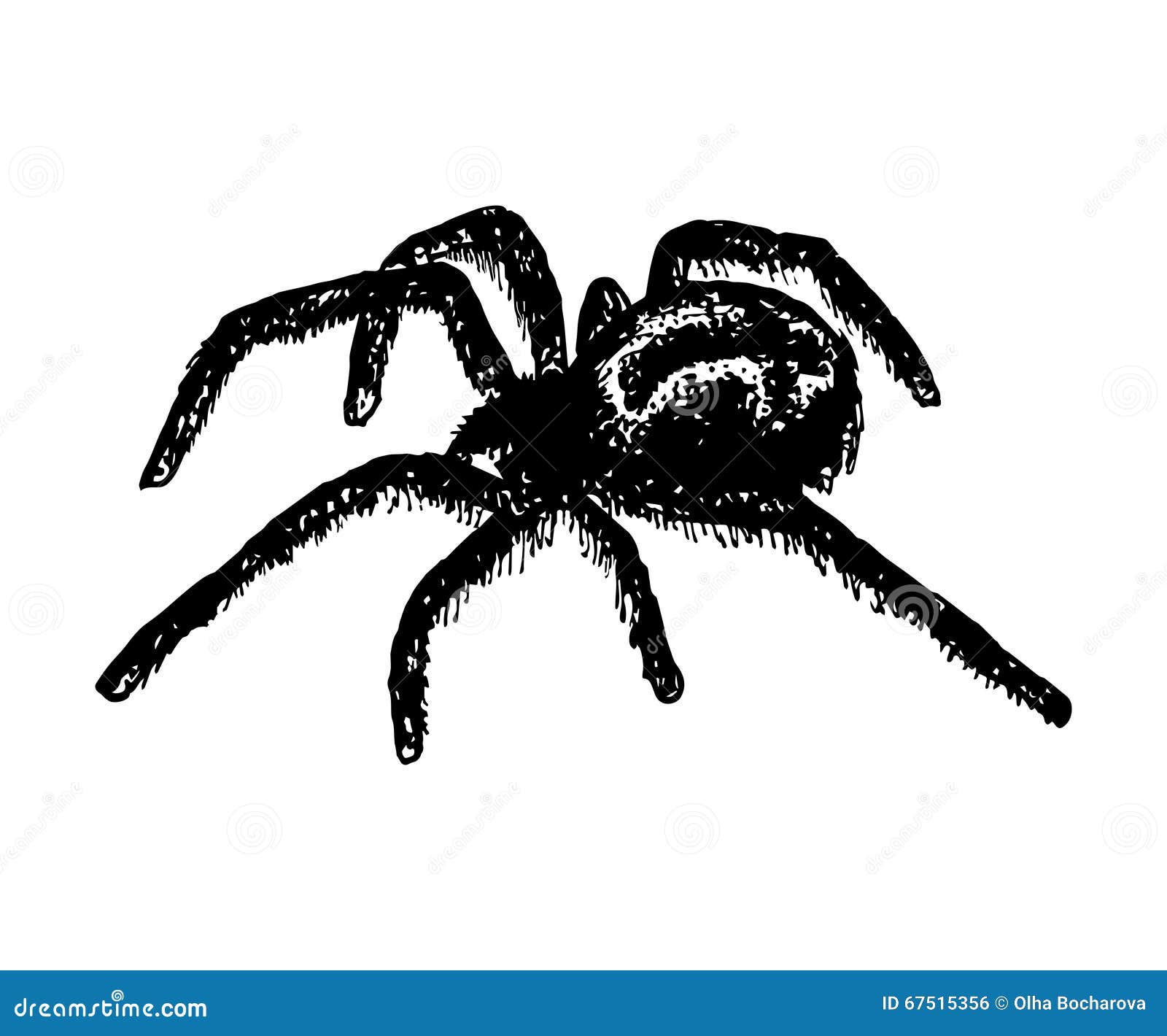 Cross Spider Shape Symbol - Black And White Vector Tattoo Illustration ...