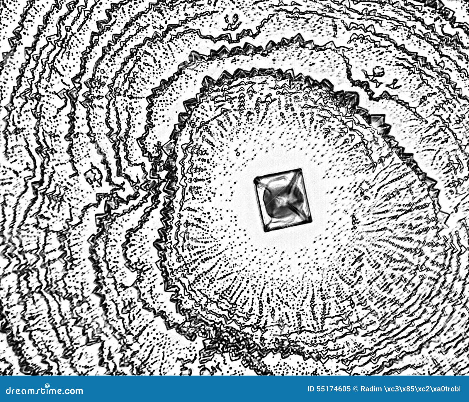 Crystallization Patterns Of Various Salts Creating Dendritic Growth ...
