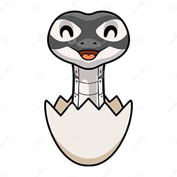 Cute Axanthic Ball Python Cartoon Inside an Egg Stock Vector ...