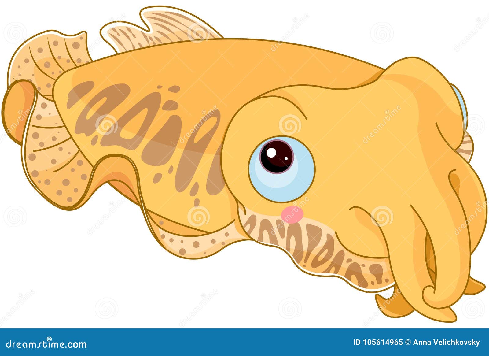Cuttle Fish, Vintage Illustration Cartoon Vector | CartoonDealer.com ...