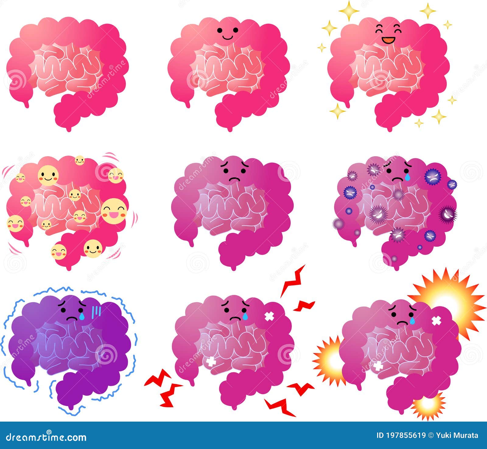 Illustration of a Cute Gradation Large Intestine and Small Intestine ...