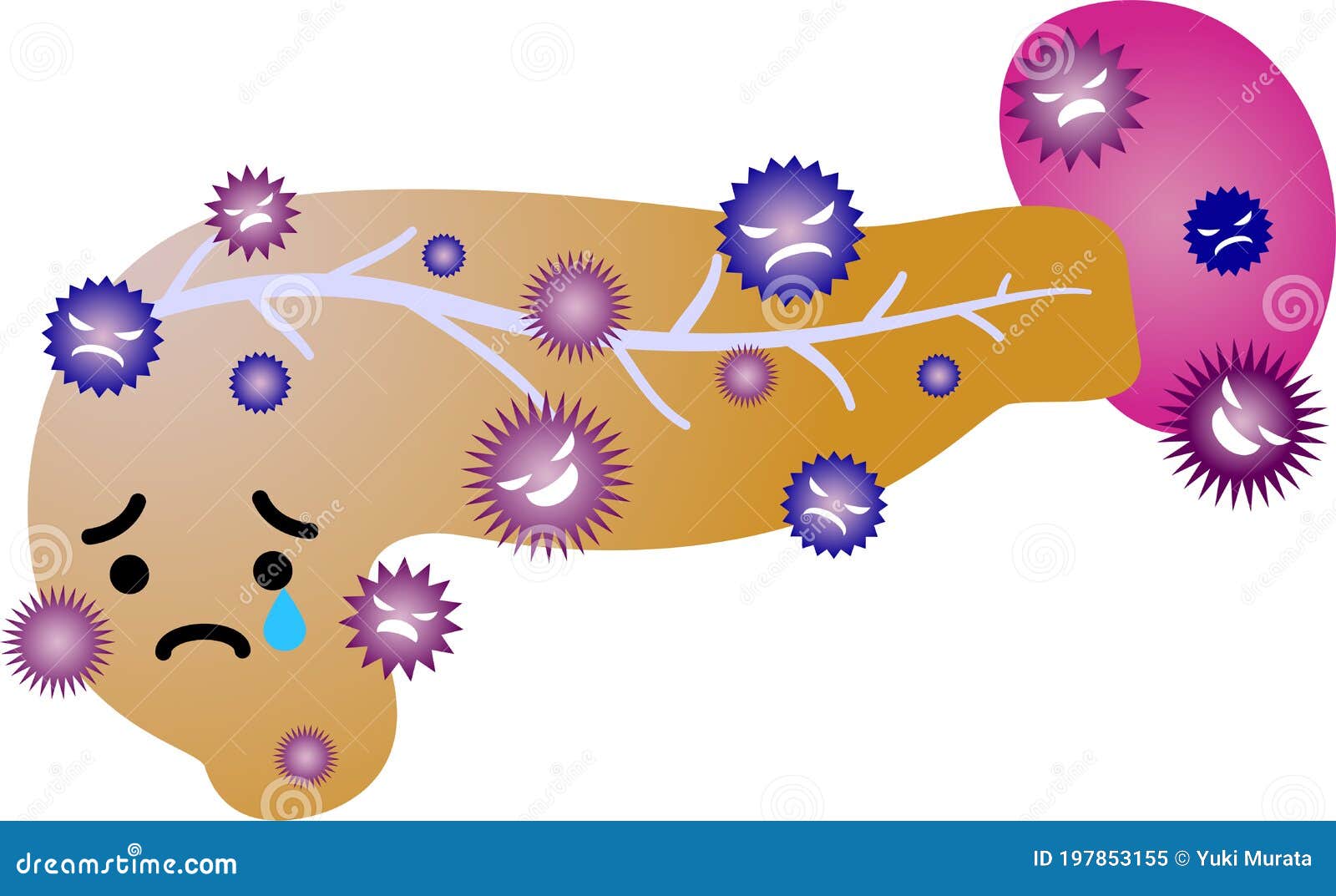 Illustration of a Cute Gradation Pancreas and Spleen Stock Vector ...