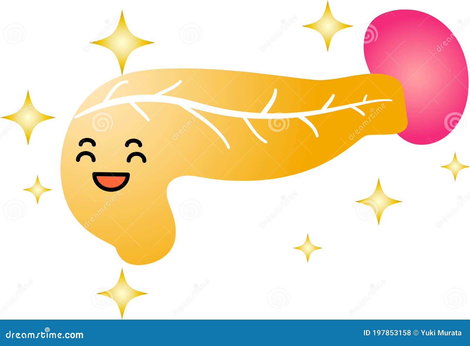 Illustration of a Cute Gradation Pancreas and Spleen Stock Vector ...