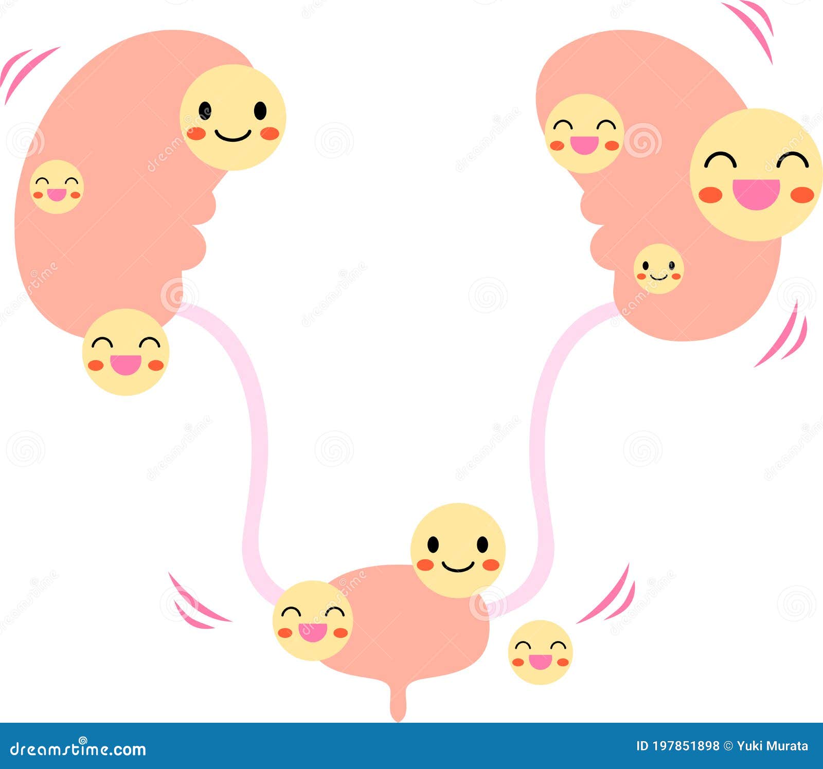 Illustration of Cute Kidney and Bladder Stock Vector - Illustration of ...