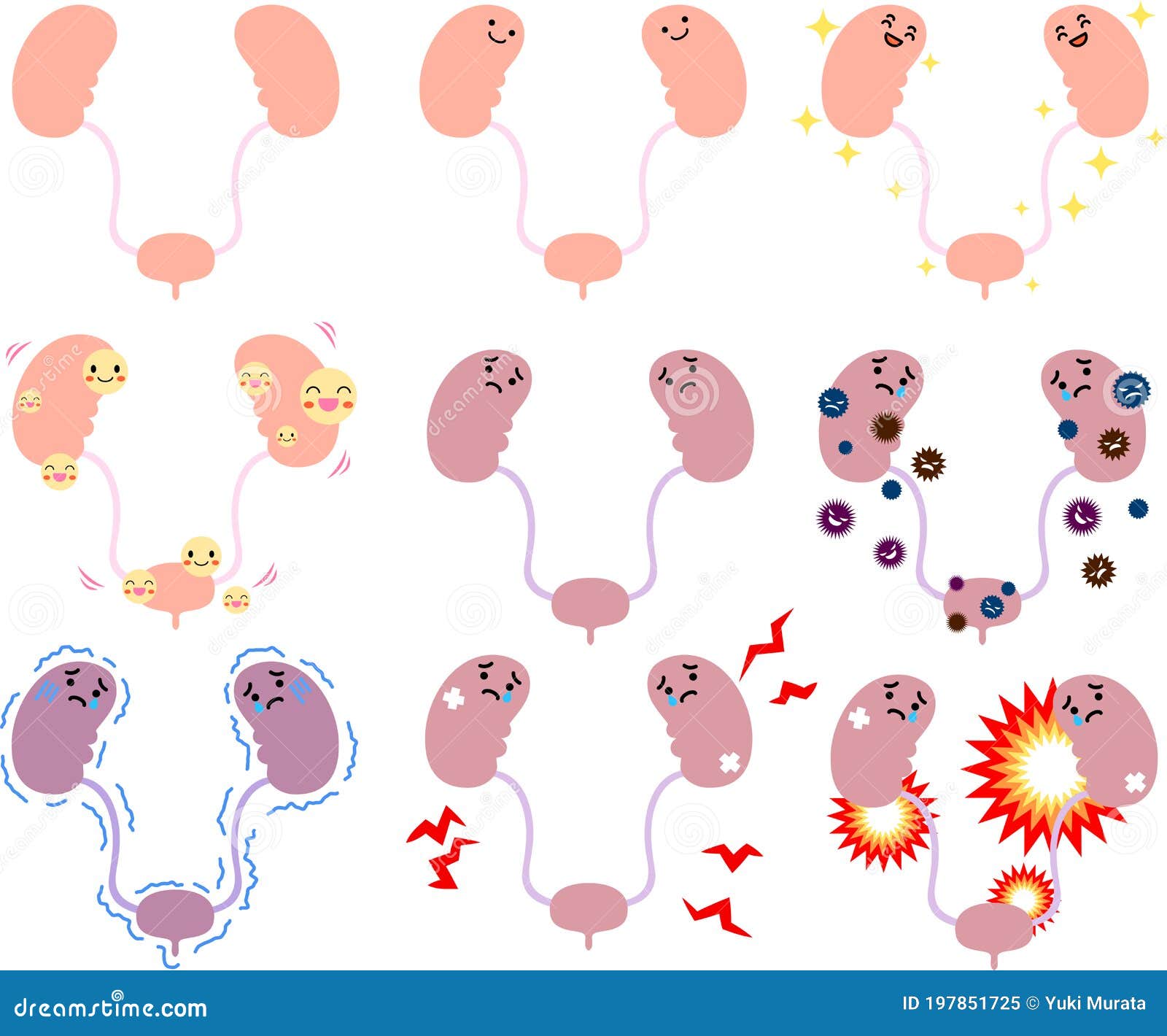 Illustration of Cute Kidney and Bladder Set Stock Vector - Illustration ...