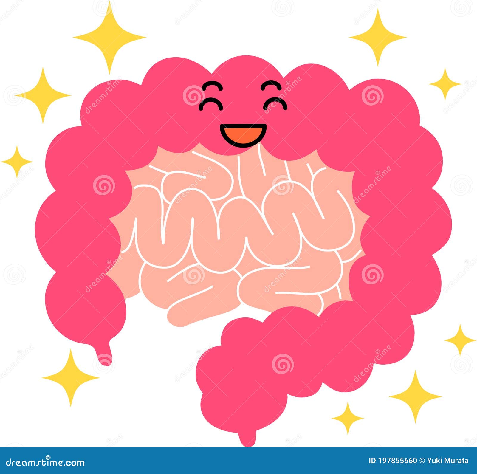 Illustration of a Cute Large Intestine and Small Intestine Stock Vector ...