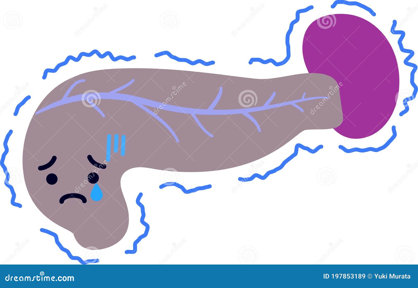 Pancreas And Spleen Royalty-Free Cartoon | CartoonDealer.com #36519419