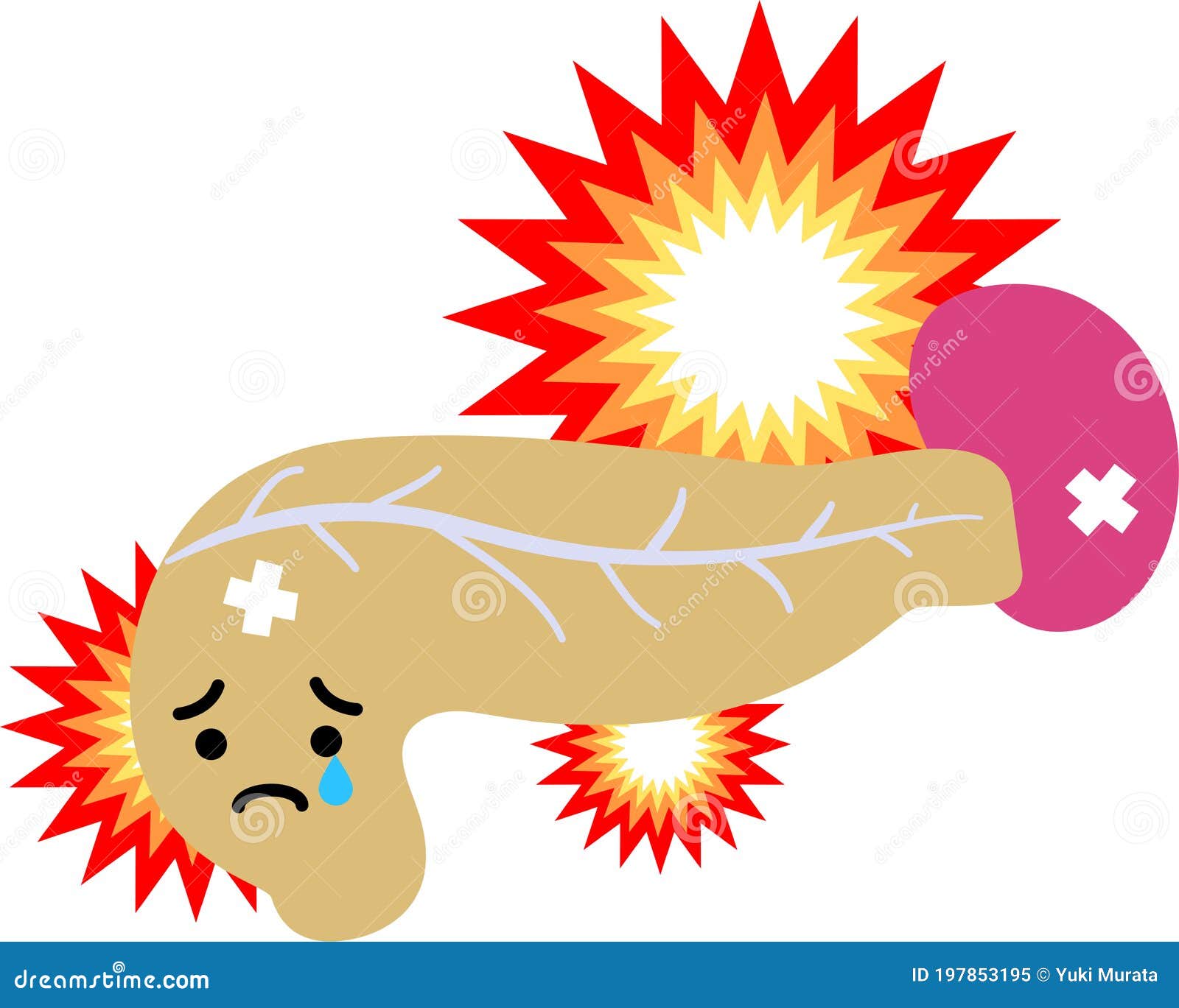 Illustration of a Cute Pancreas and Spleen Stock Vector - Illustration ...