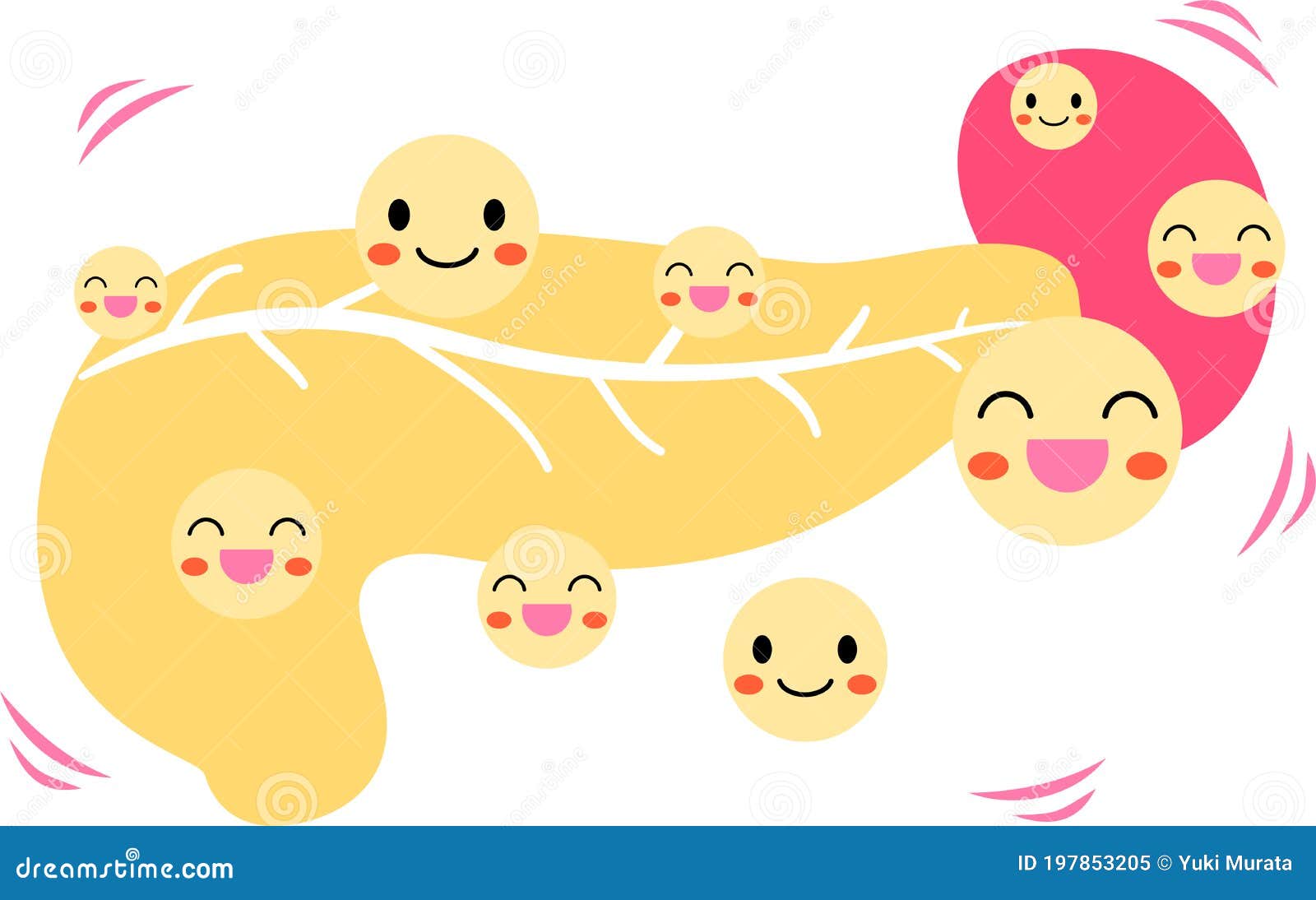 Illustration of a Cute Pancreas and Spleen Stock Vector - Illustration ...