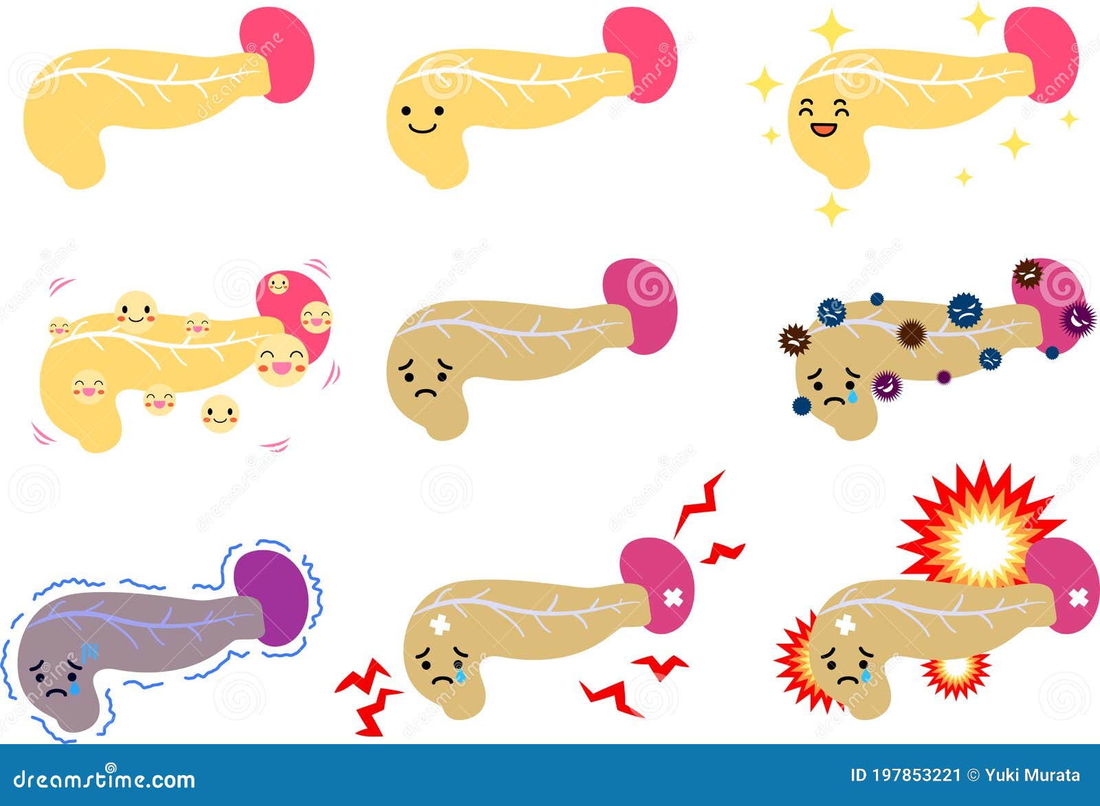 Illustration of a Cute Pancreas and Spleen Set Stock Vector ...