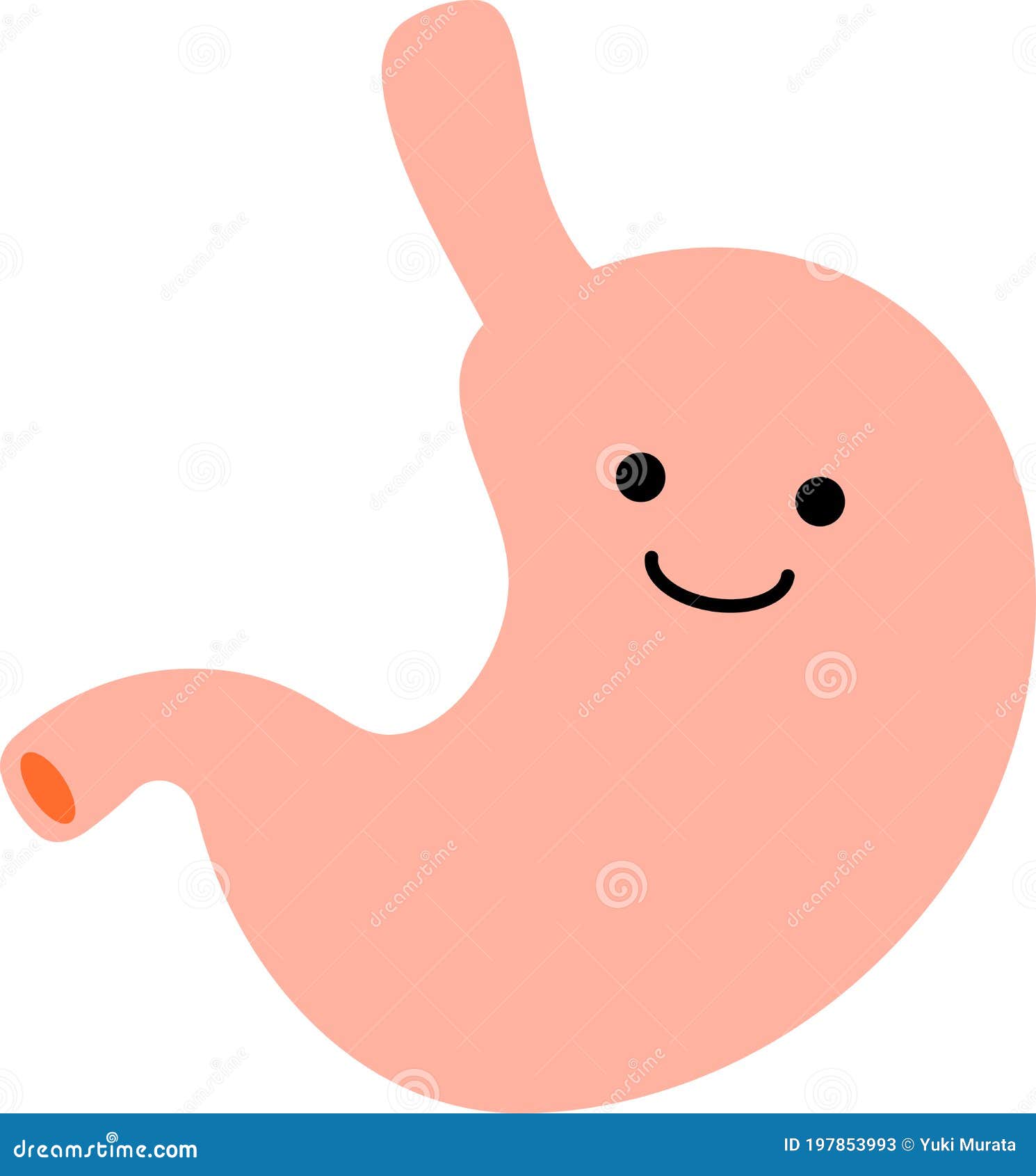 Illustration of a Cute Stomach Stock Vector - Illustration of internal ...