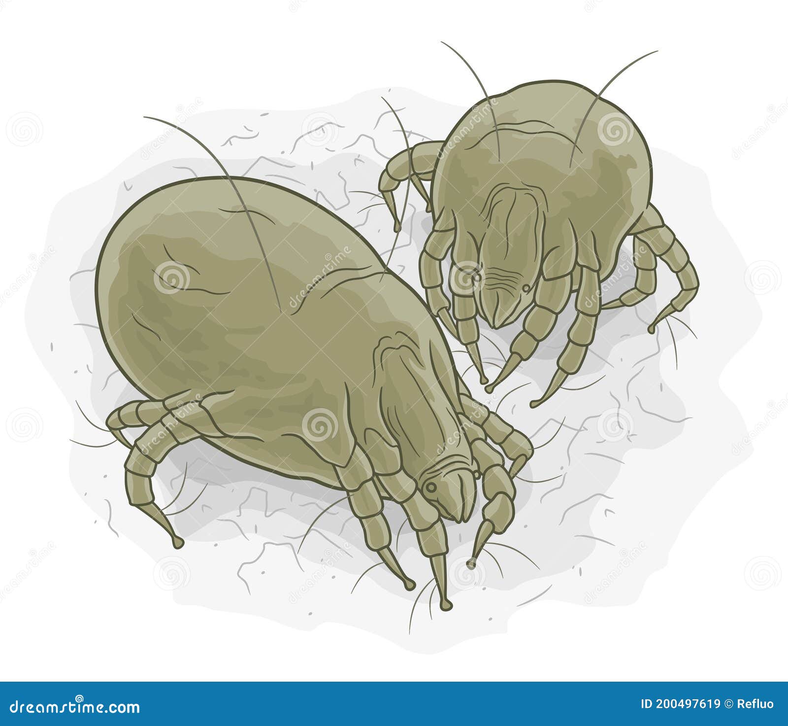 Illustration d'acarien illustration de vecteur. Illustration du retrait ...