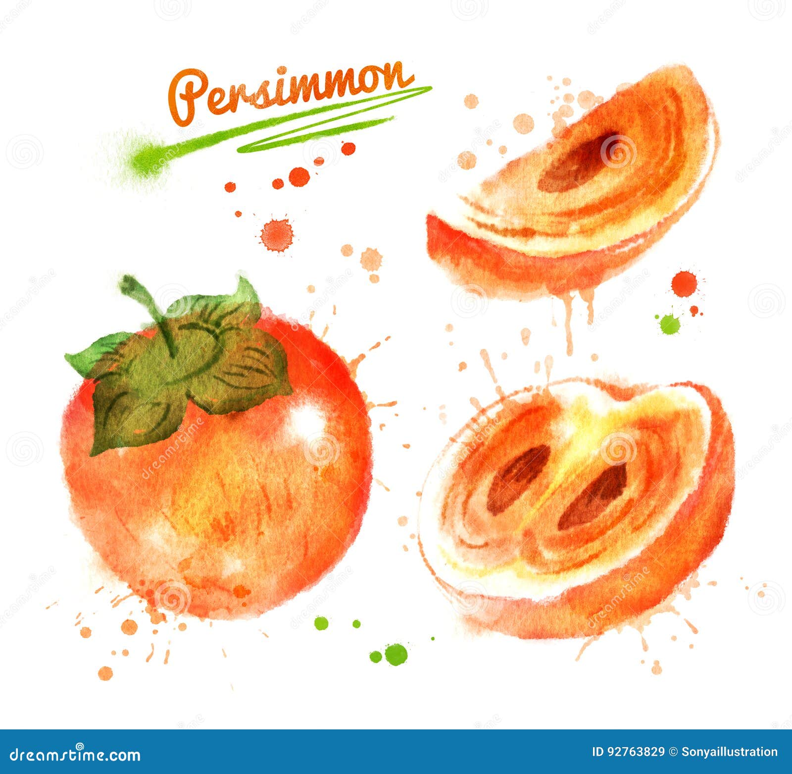 Illustration D'aquarelle De Kaki Illustration Stock - Illustration du ...