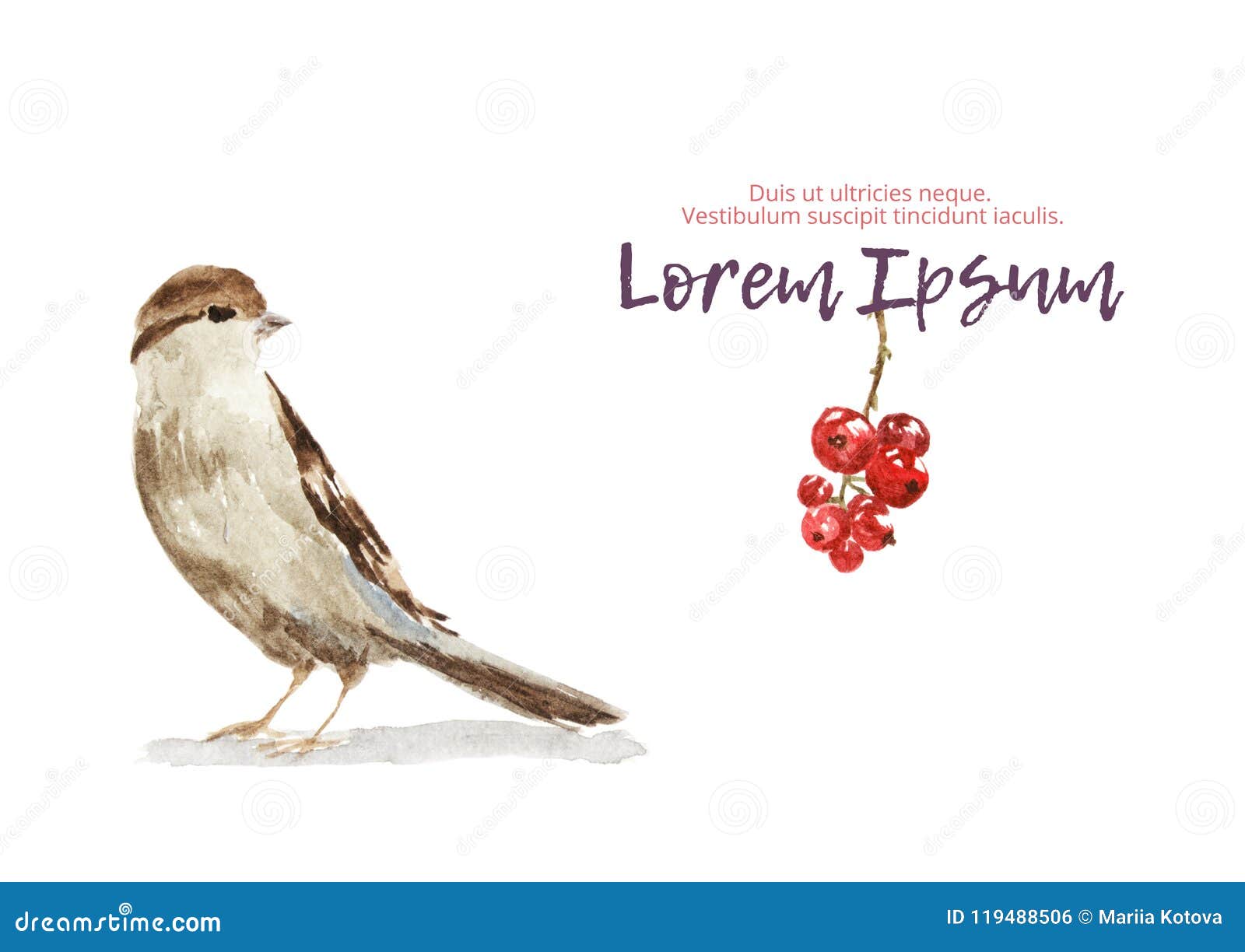 Illustration D'aquarelle De Moineau Illustration Stock - Illustration ...